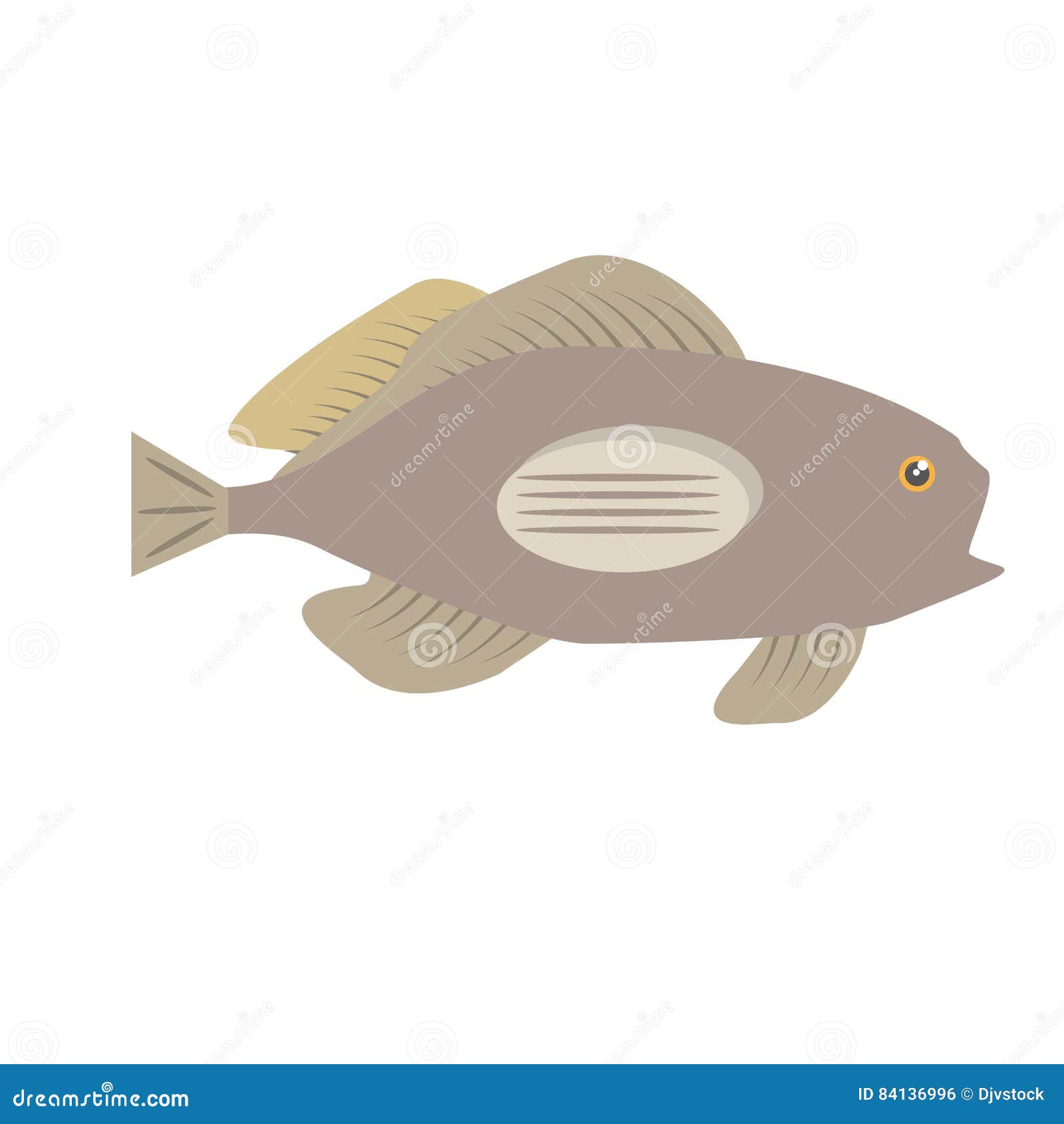 Grouper Fish Side View Sea Life Coral Stock Illustration ...
