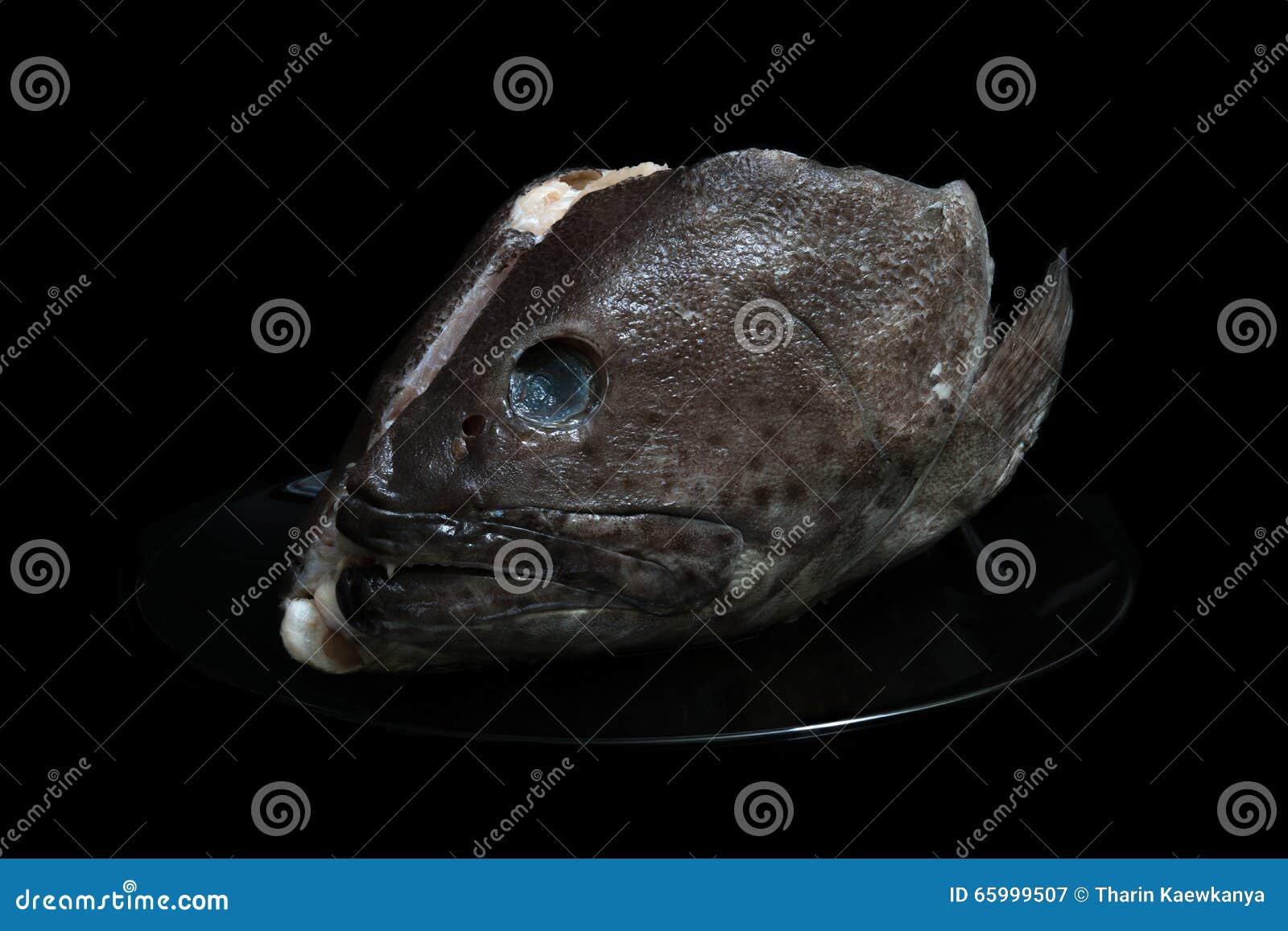 Grouper head in plate stock image. Image of freshness - 65999507