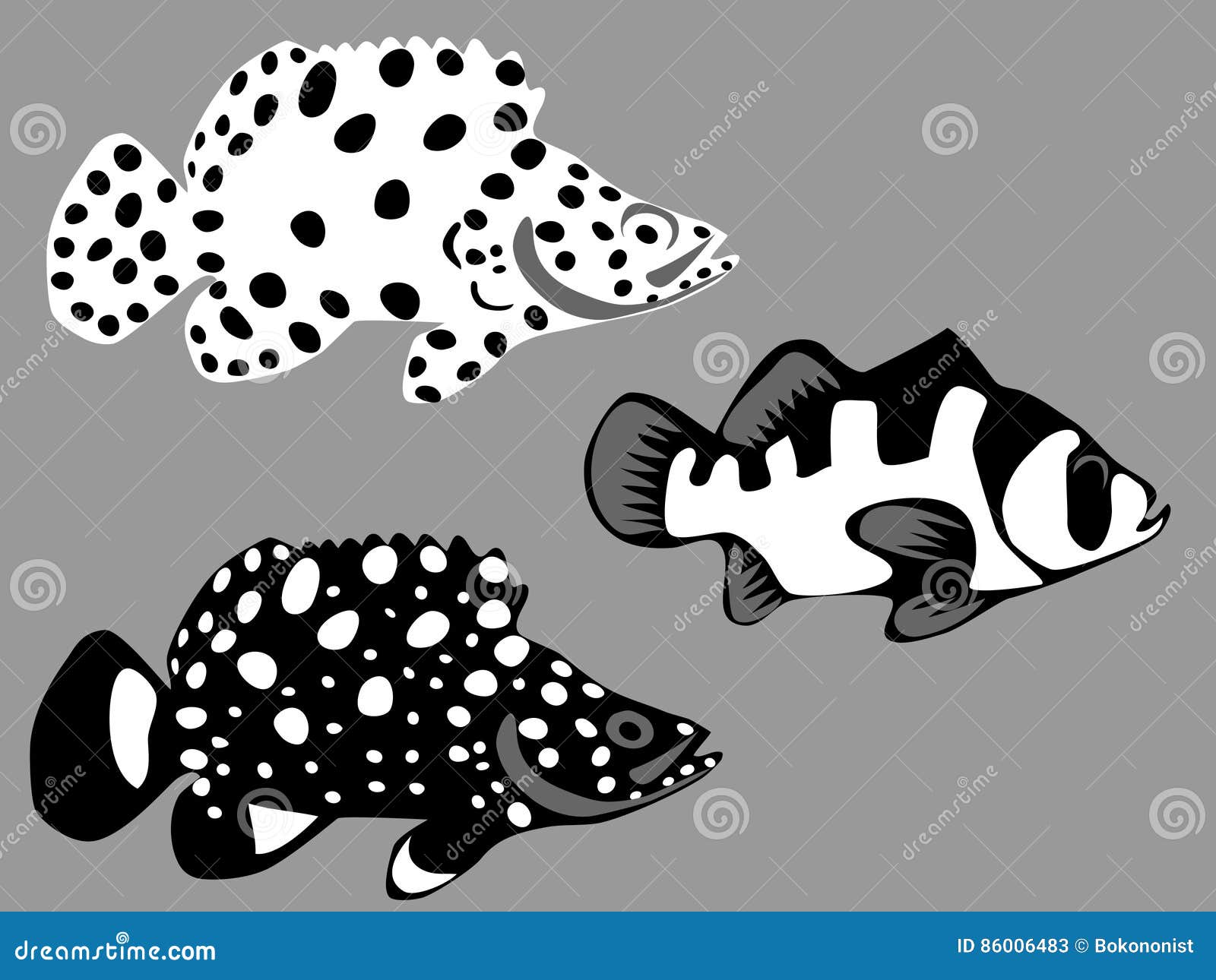 Groupers stock vector. Illustration of fish, ongus, groupers - 86006483