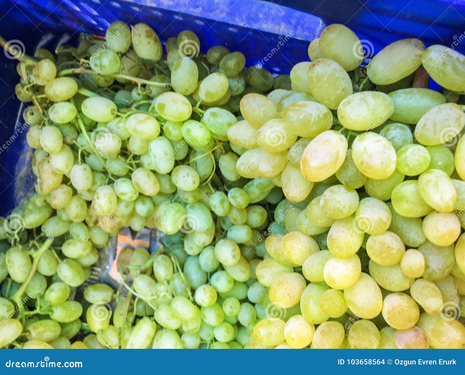 Groupes De Raisin, Grain De Raisin Photo stock - Image du groupe ...