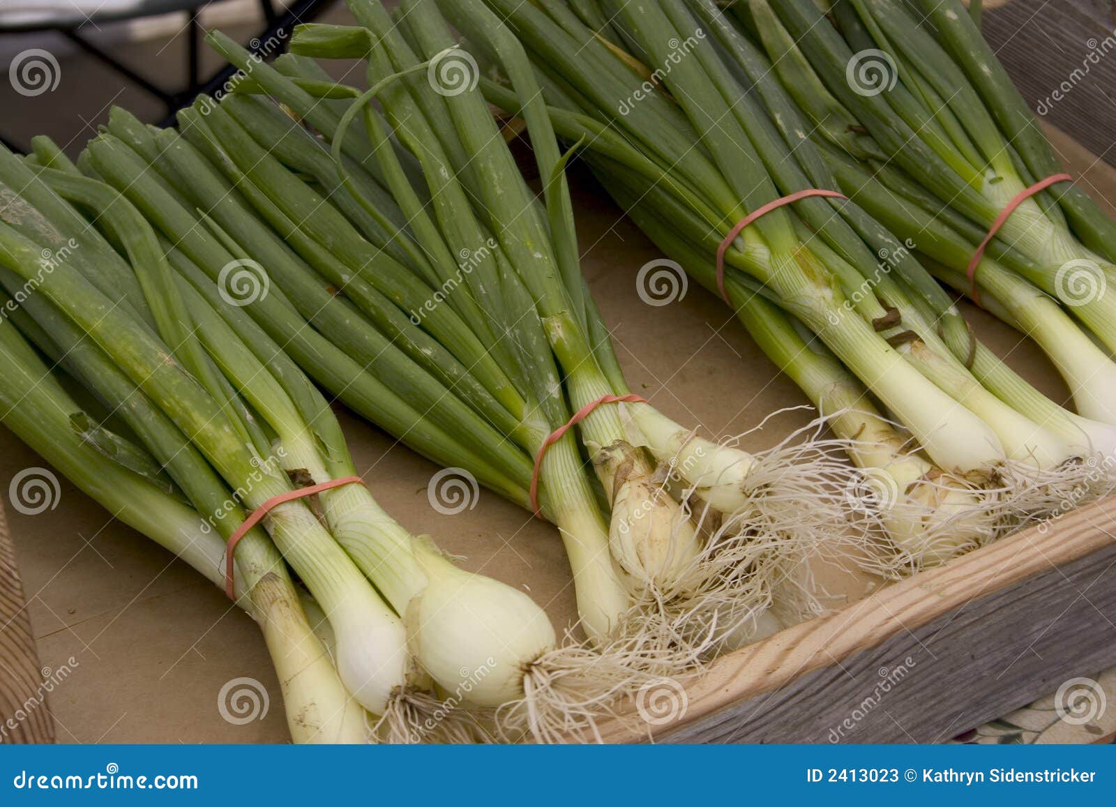 Groupes Frais D'oignon Vert Image stock - Image du sélectionné, oignon ...