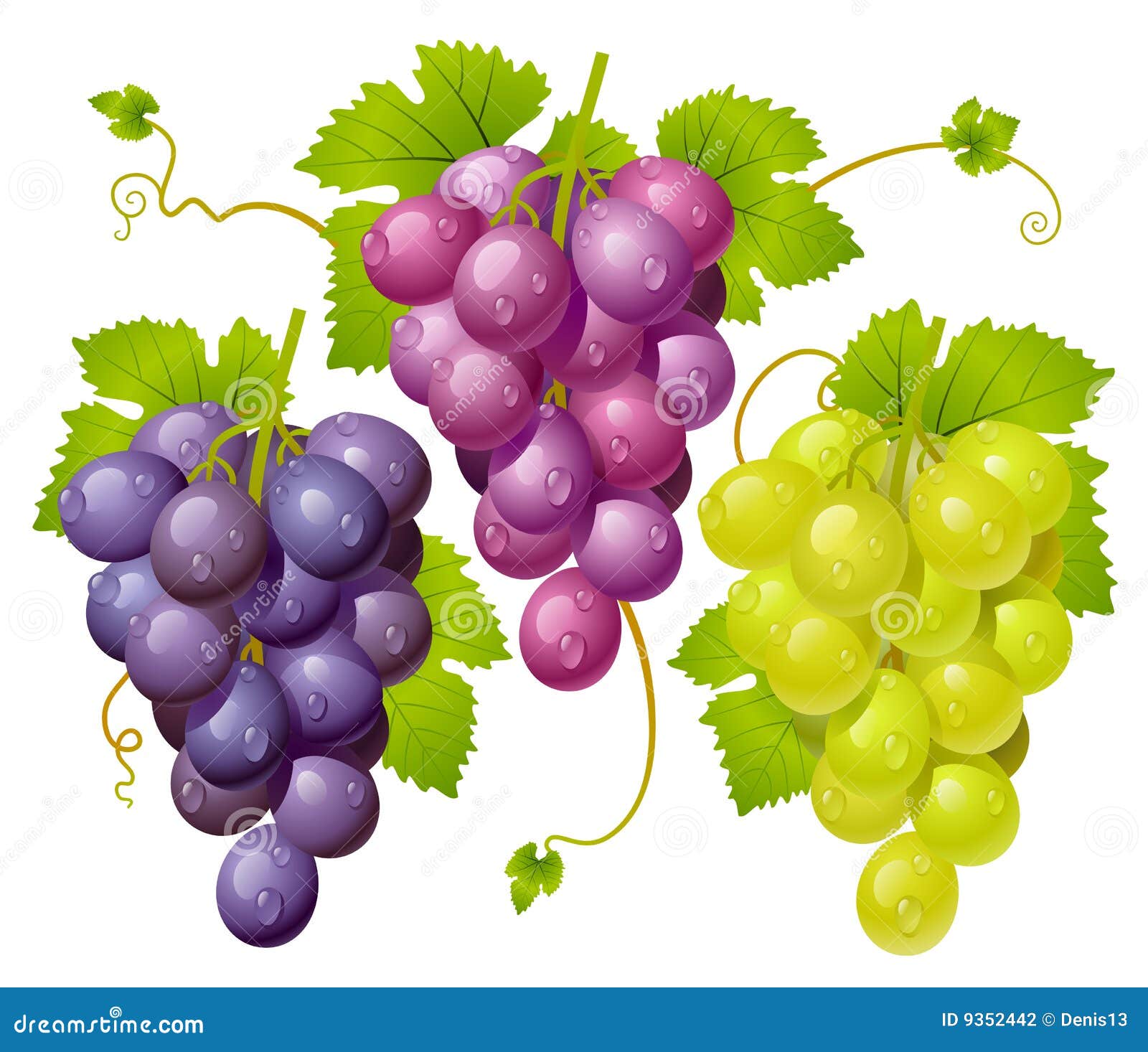 Groupez les raisins trois illustration de vecteur. Illustration du ...
