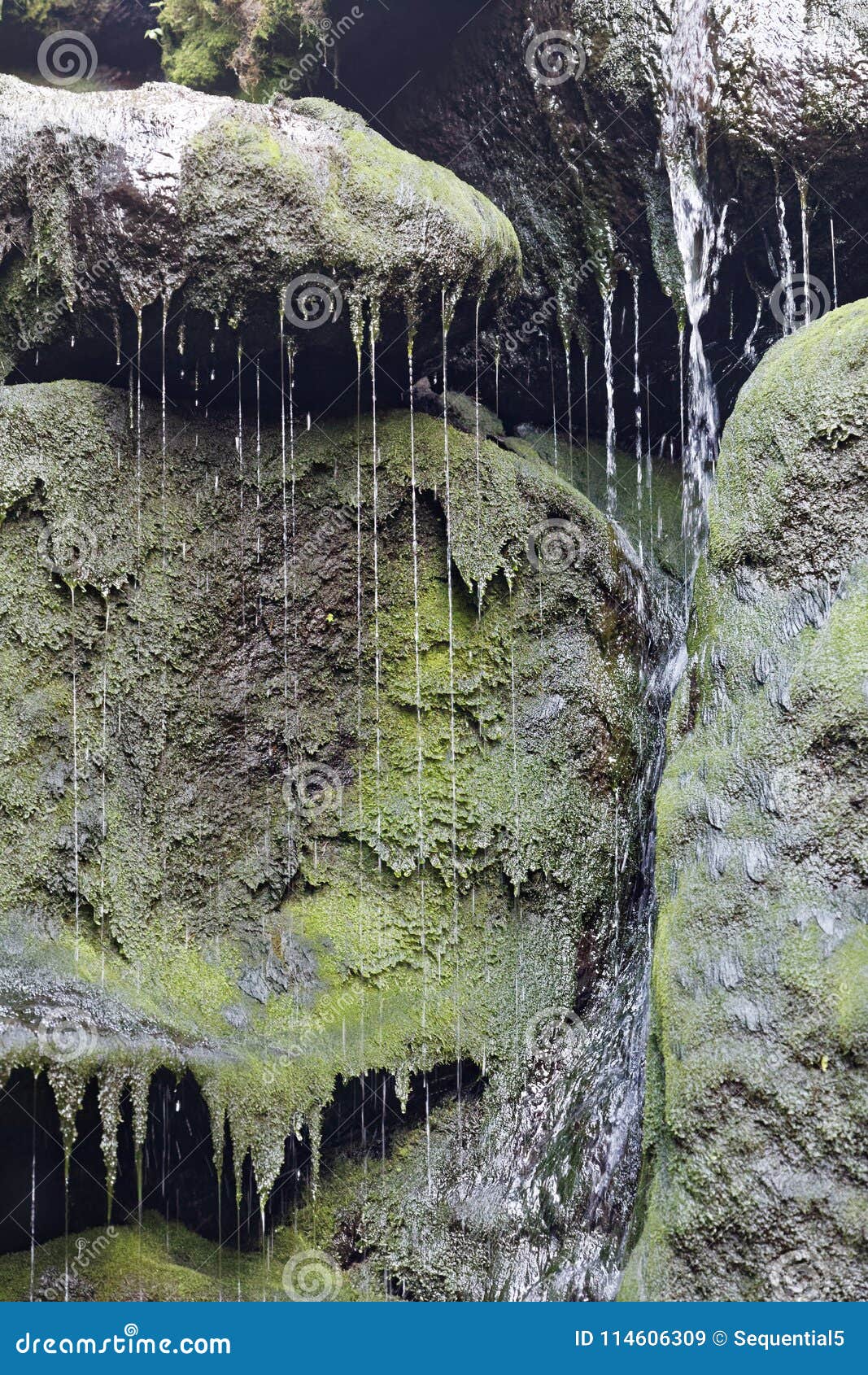 Water Drizzling Down Algae Covered Rocks Stock Image - Image of ...