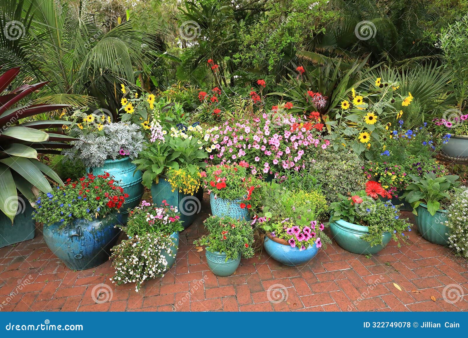Grouping of Beautiful Flowering Plants Stock Photo - Image of bright ...