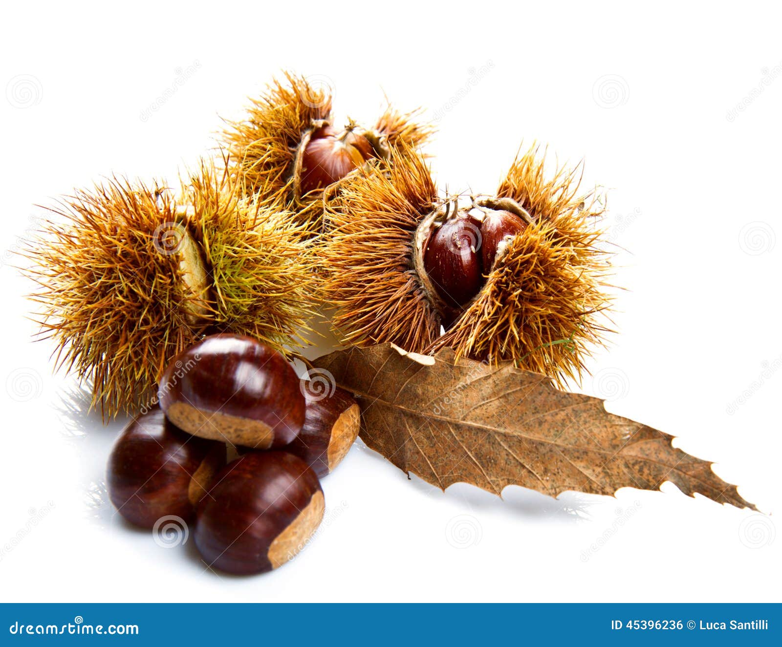 Groups of Chestnut Nuts on White Close Up Stock Photo - Image of ...