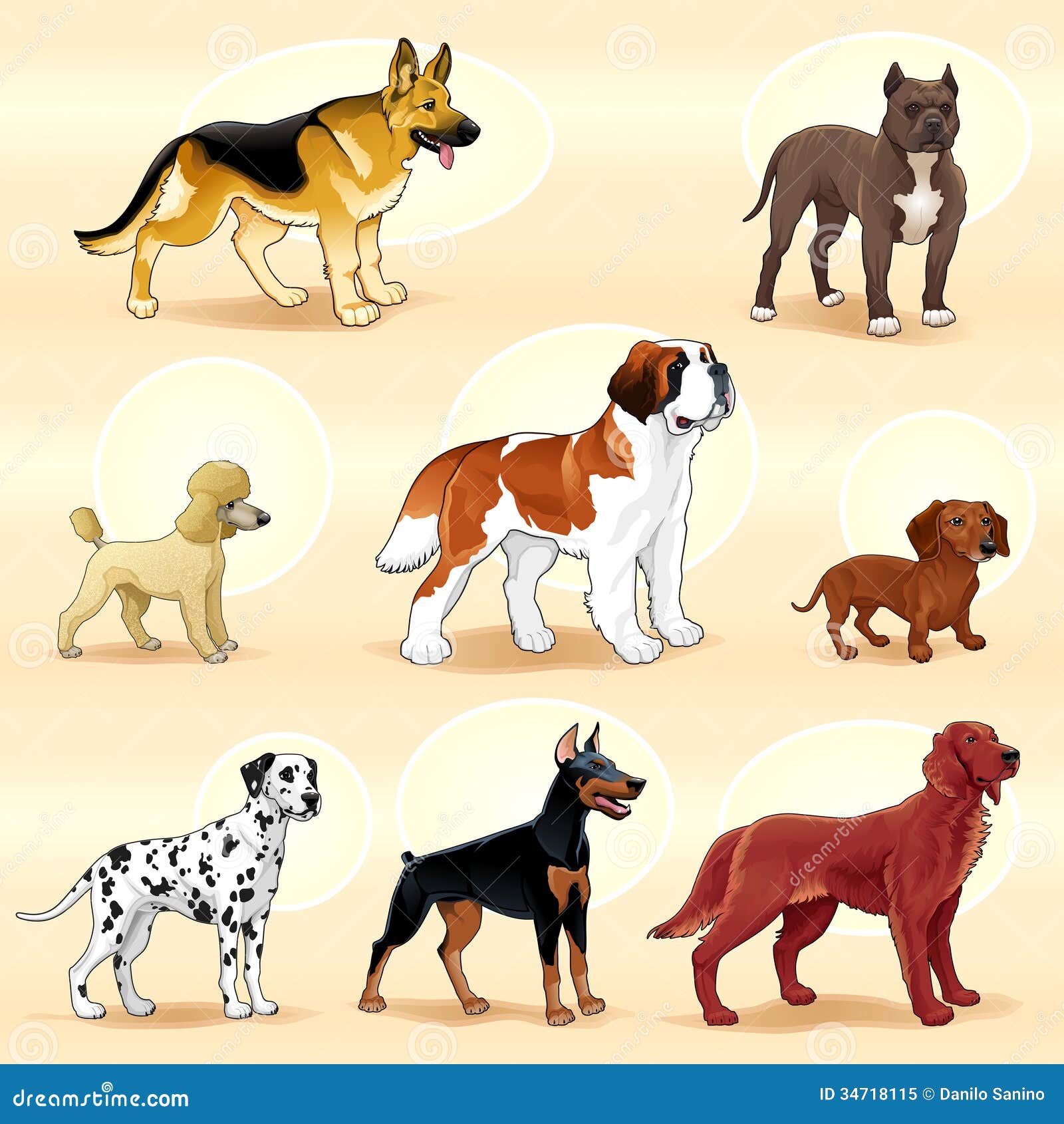 Groups of dog. stock vector. Illustration of bernard - 34718115