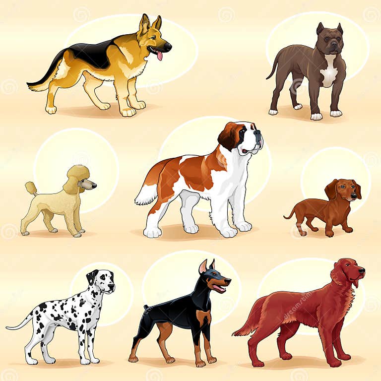 Groups of dog. stock vector. Illustration of bernard - 34718115