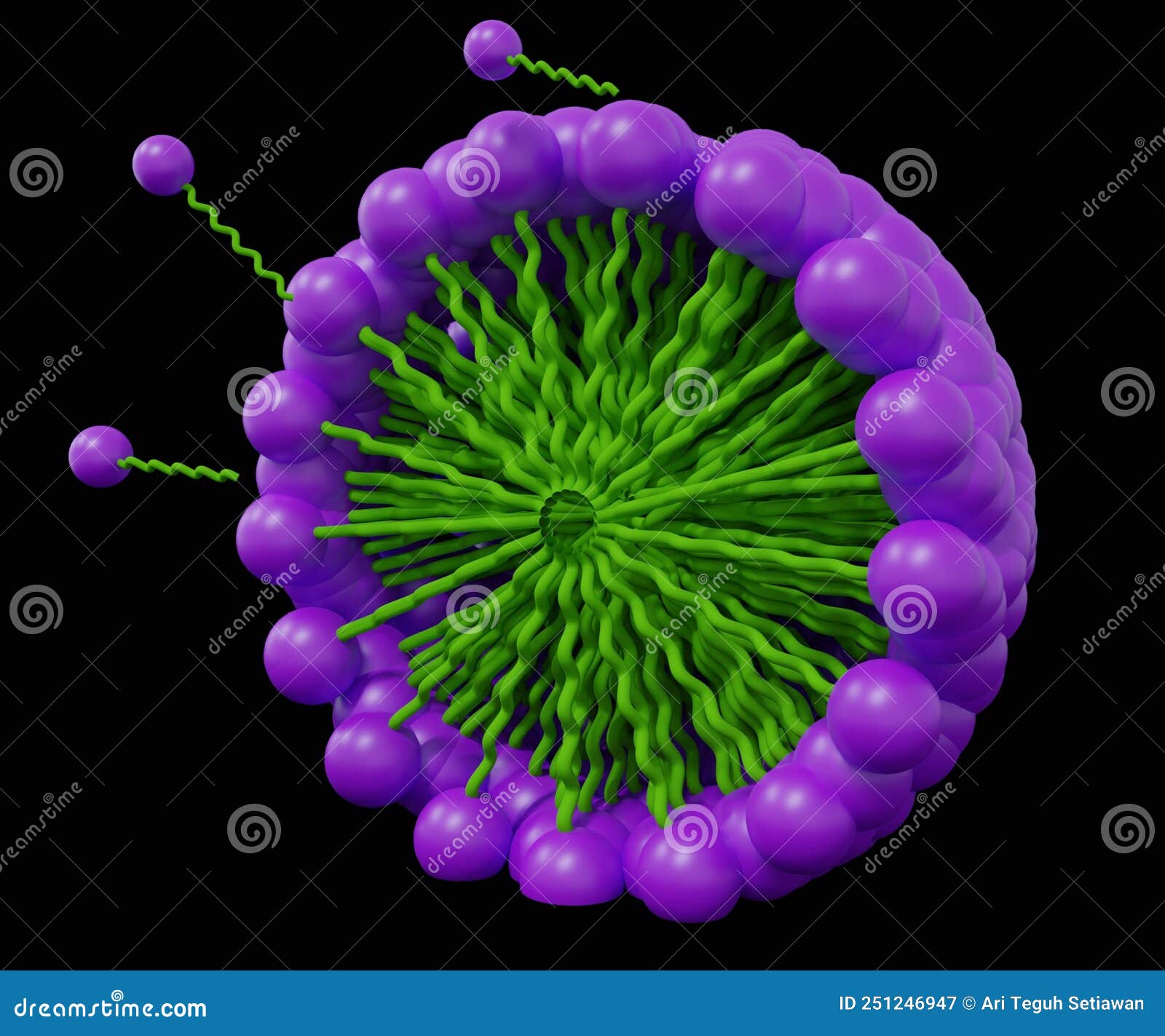 Micelles Detergent Stock Illustrations – 7 Micelles Detergent Stock ...