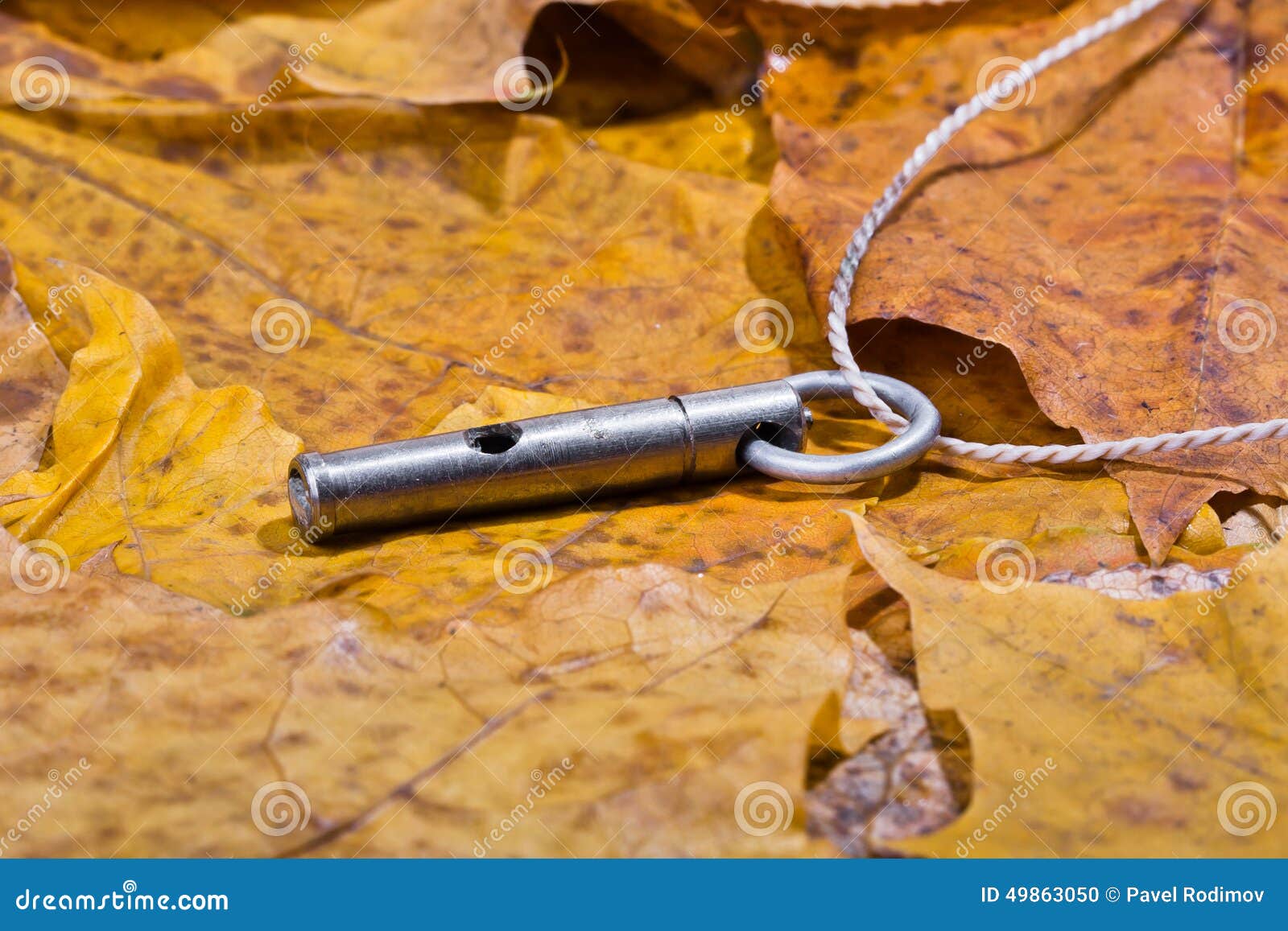 Grouse Call on the Autumn Leaves Stock Photo - Image of decoy, sport ...