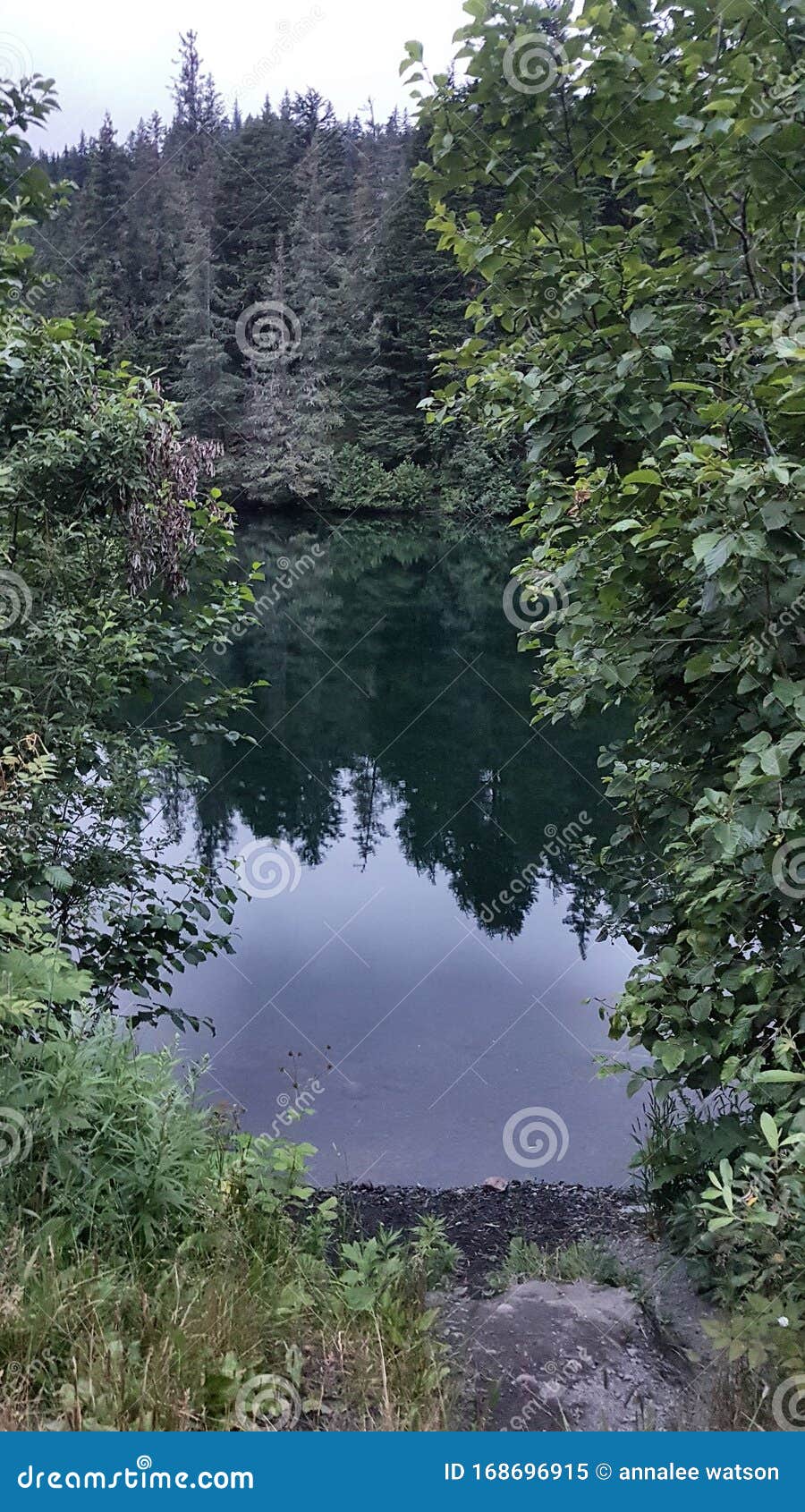 Grouse lake stock image. Image of grouse, alaska, lake - 168696915