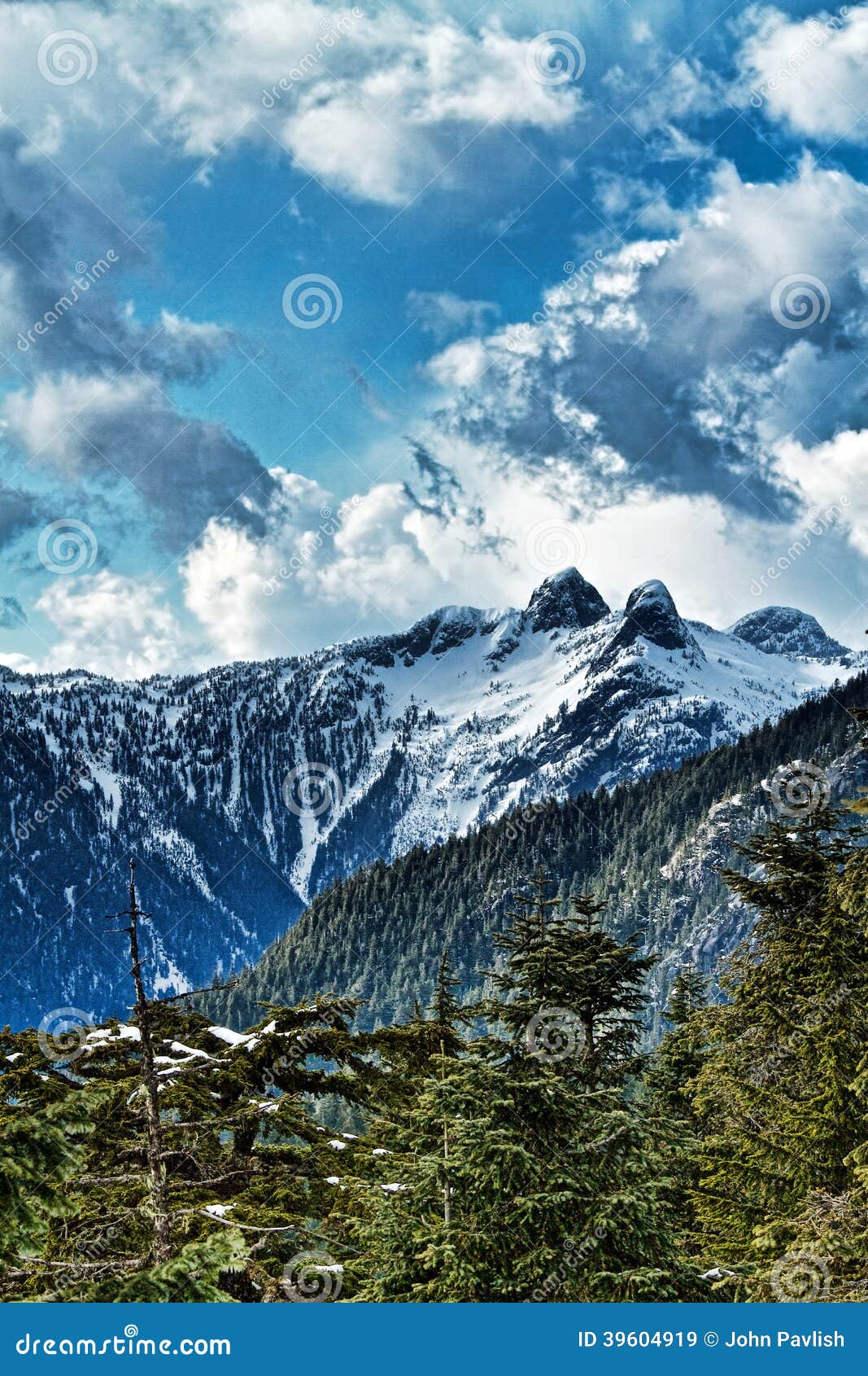 Grouse Mountain in Vancouver BC Canada Stock Image - Image of hiking ...