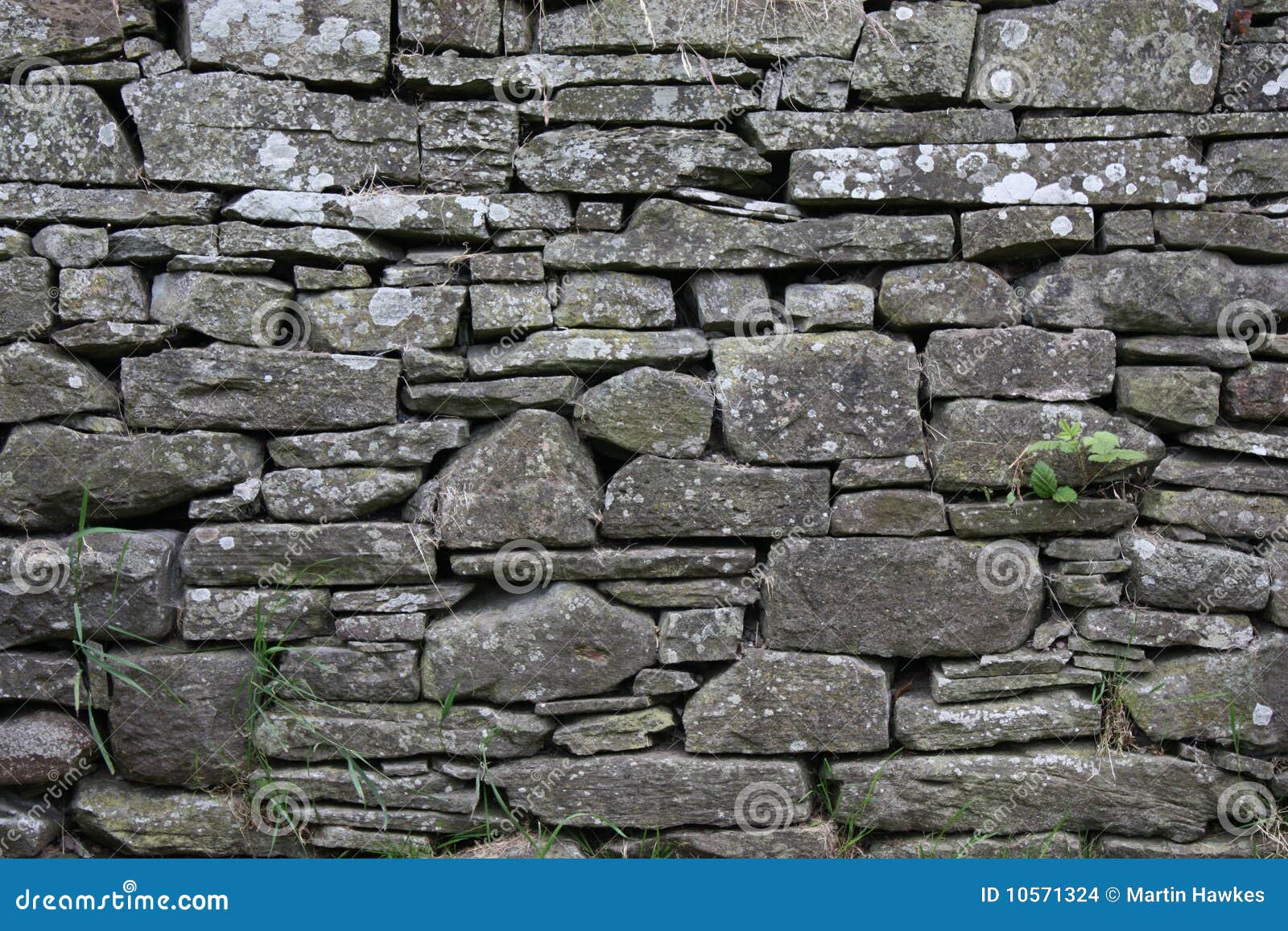 Groutless Brick1 stock photo. Image of build, natural - 10571324