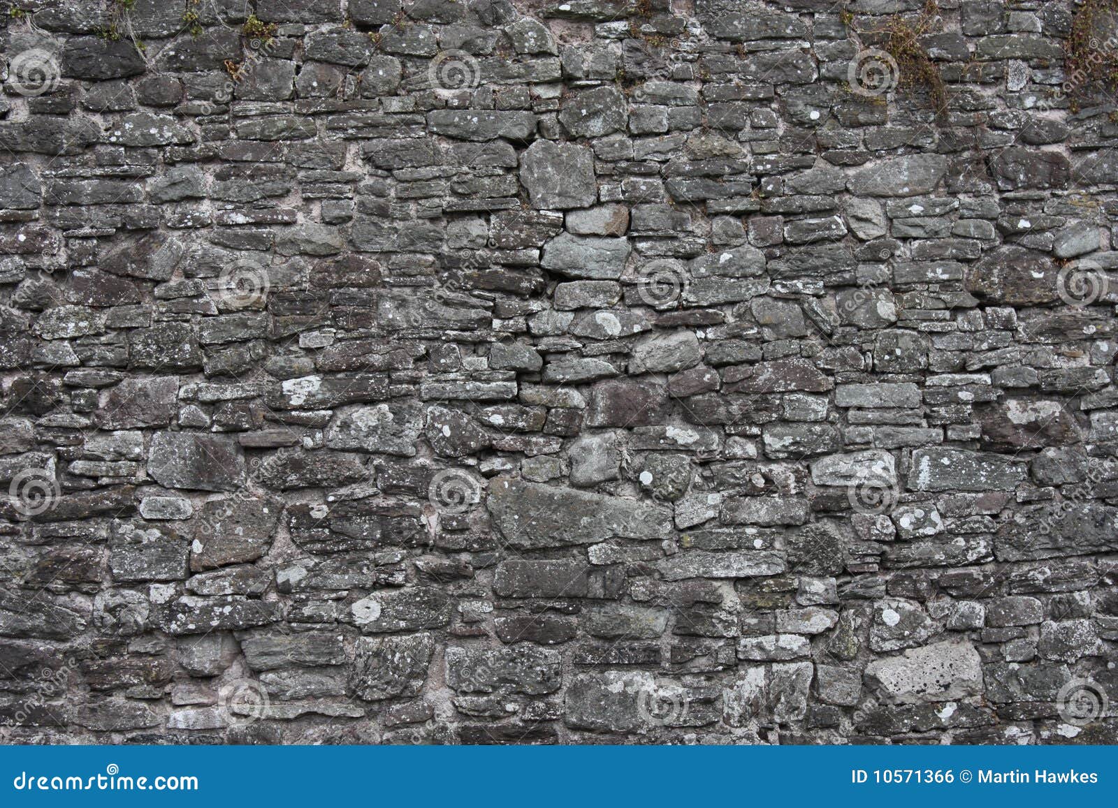 Groutless Brick1 stock photo. Image of grey, wall, groutless - 10571366