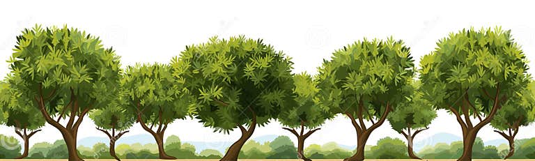 Grove of Olive Trees Vector Simple 3d Smooth Cut Isolated Illustration ...
