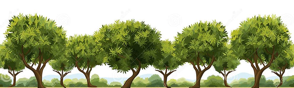 Grove of Olive Trees Vector Simple 3d Smooth Cut Isolated Illustration ...
