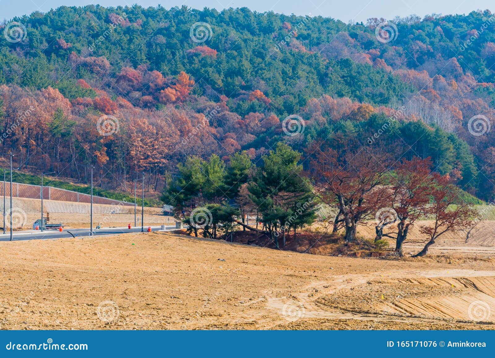 Grove of Trees at Construction Site Stock Photo - Image of grunge ...