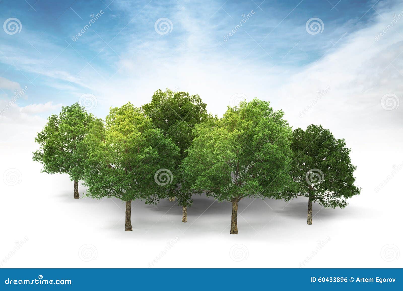 Grove Background Stock Illustrations – 5,398 Grove Background Stock ...