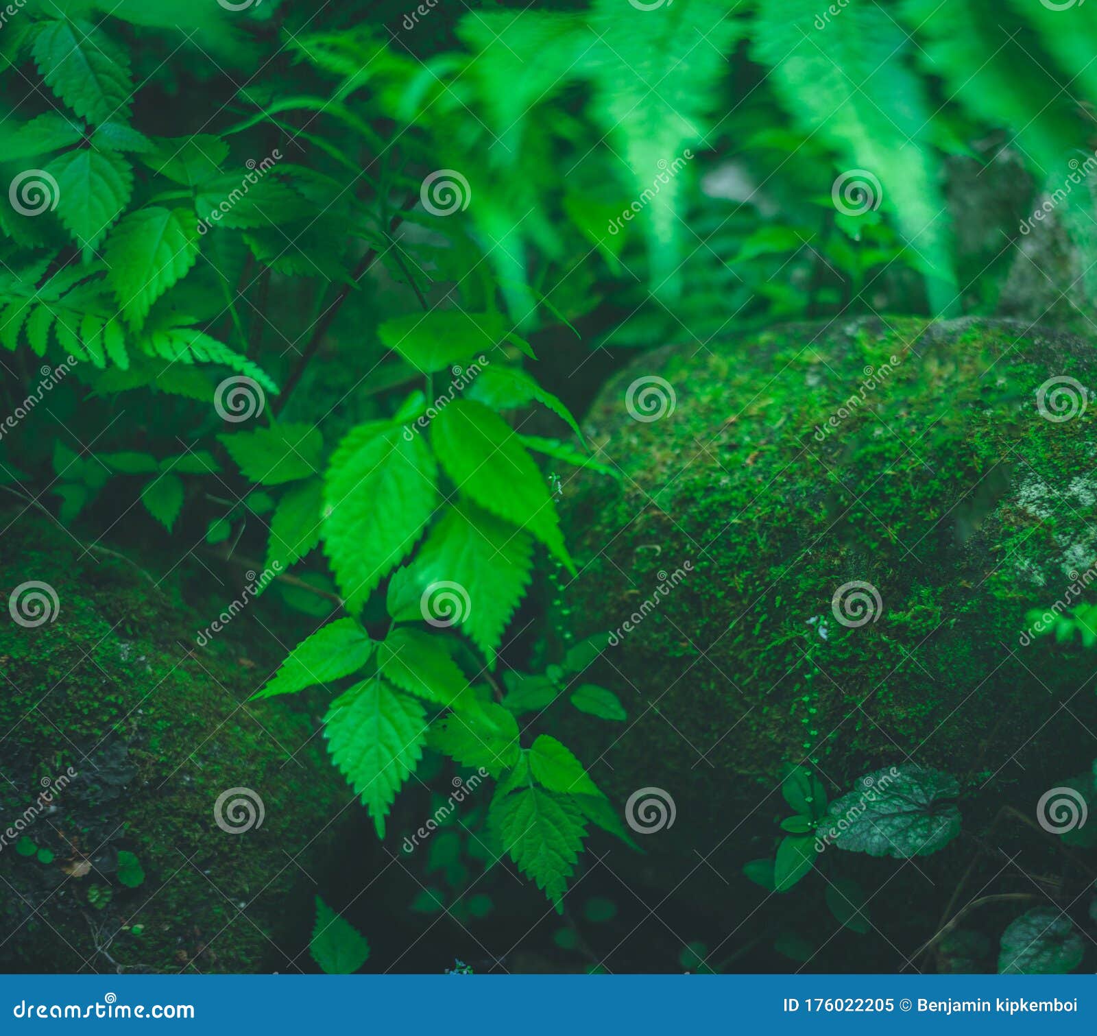 We Grow ,we Adjust ,we Adapt because that& X27;s Absolutely we Stock ...