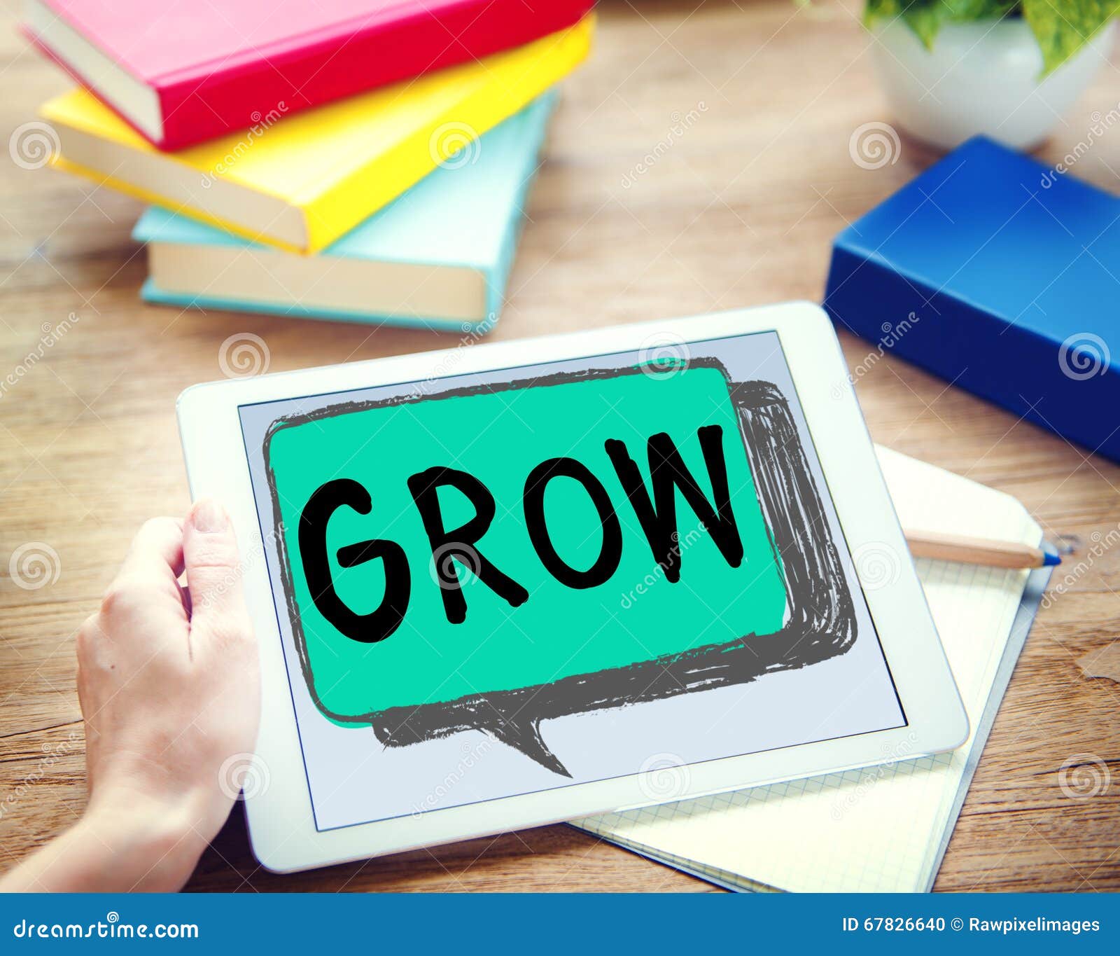 Grow Growth Development Improvement Change Concept Stock Photo - Image ...