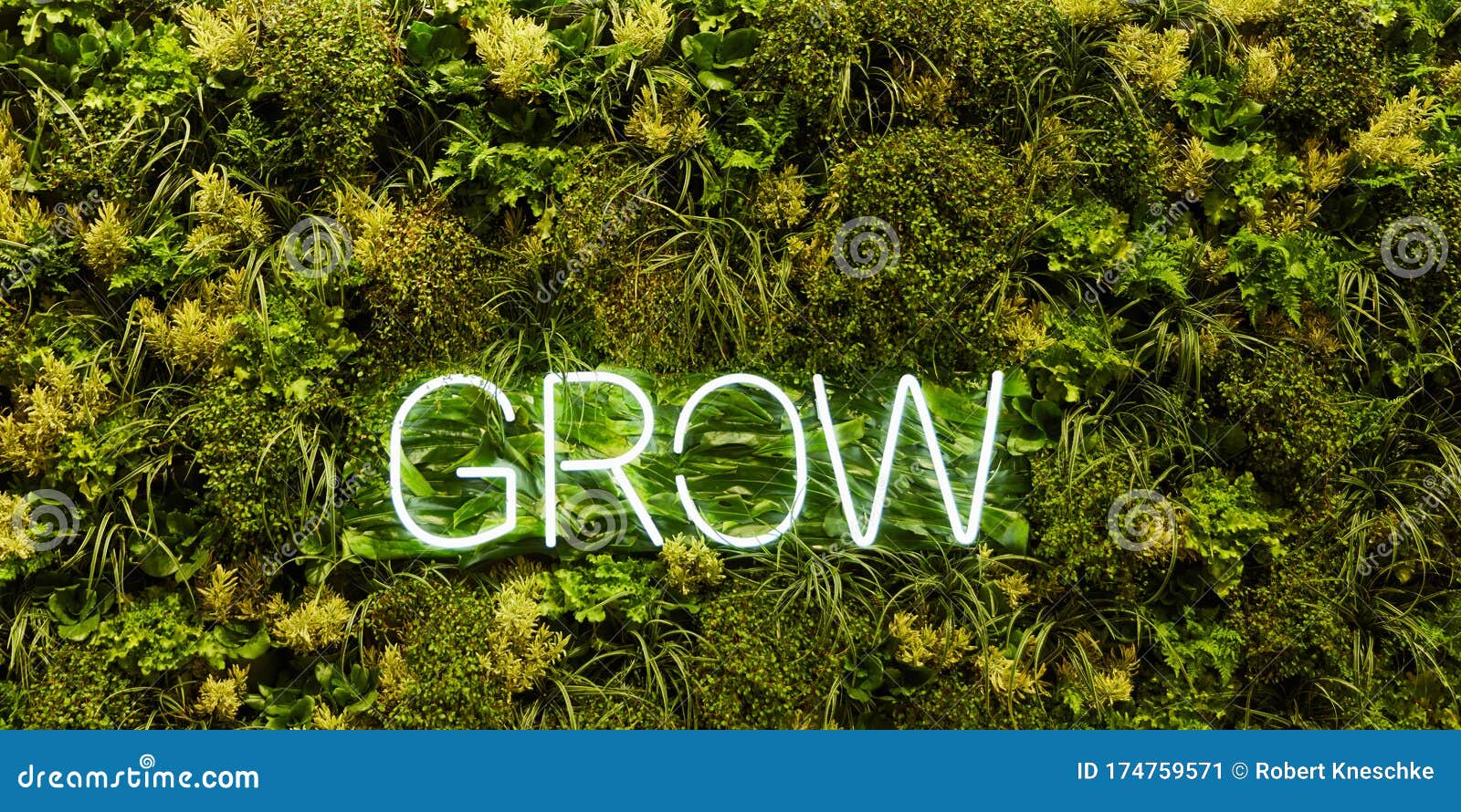 Grow Header Background With Green Plants Stock Image - Image of garden ...