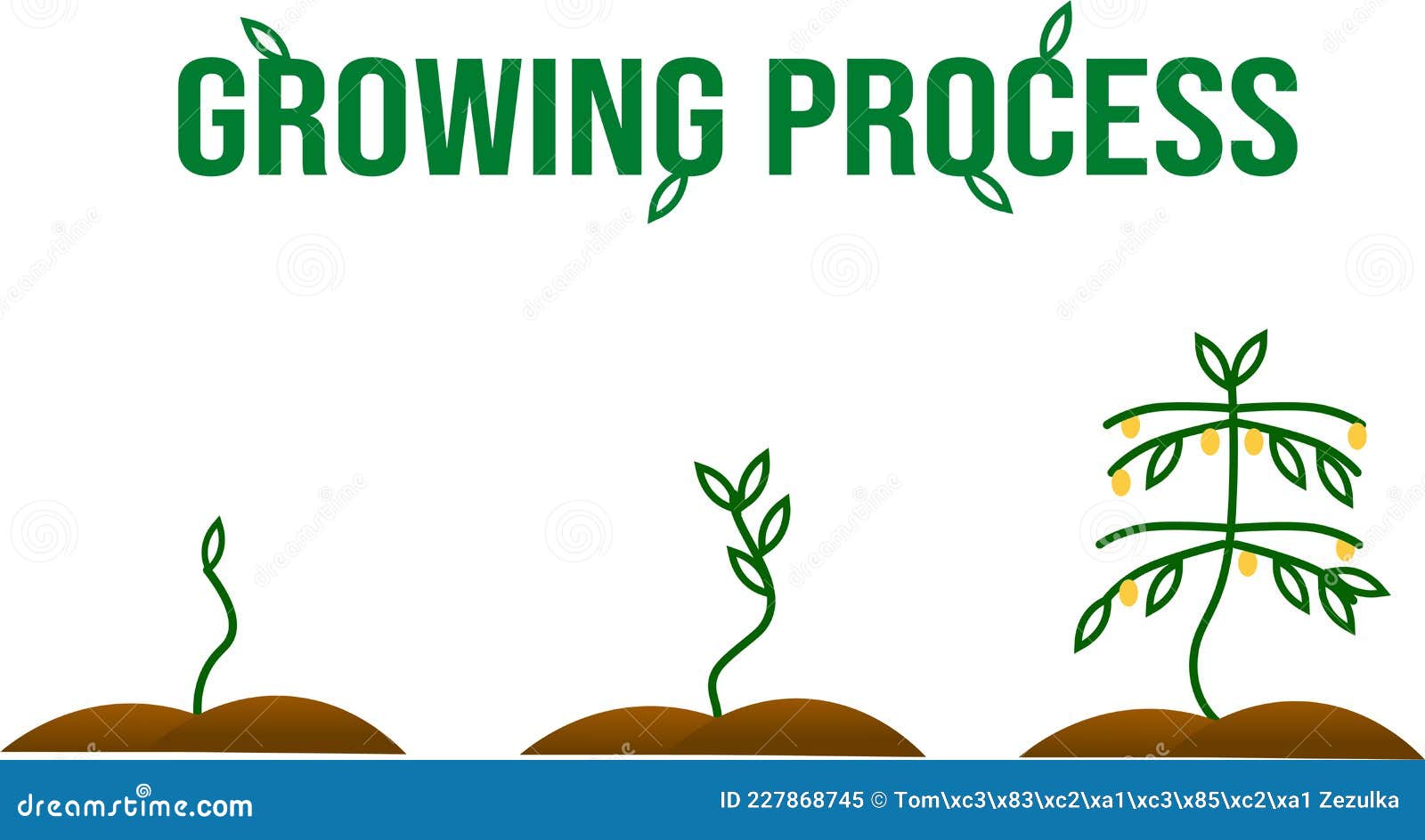 Growing process stock illustration. Illustration of process - 227868745