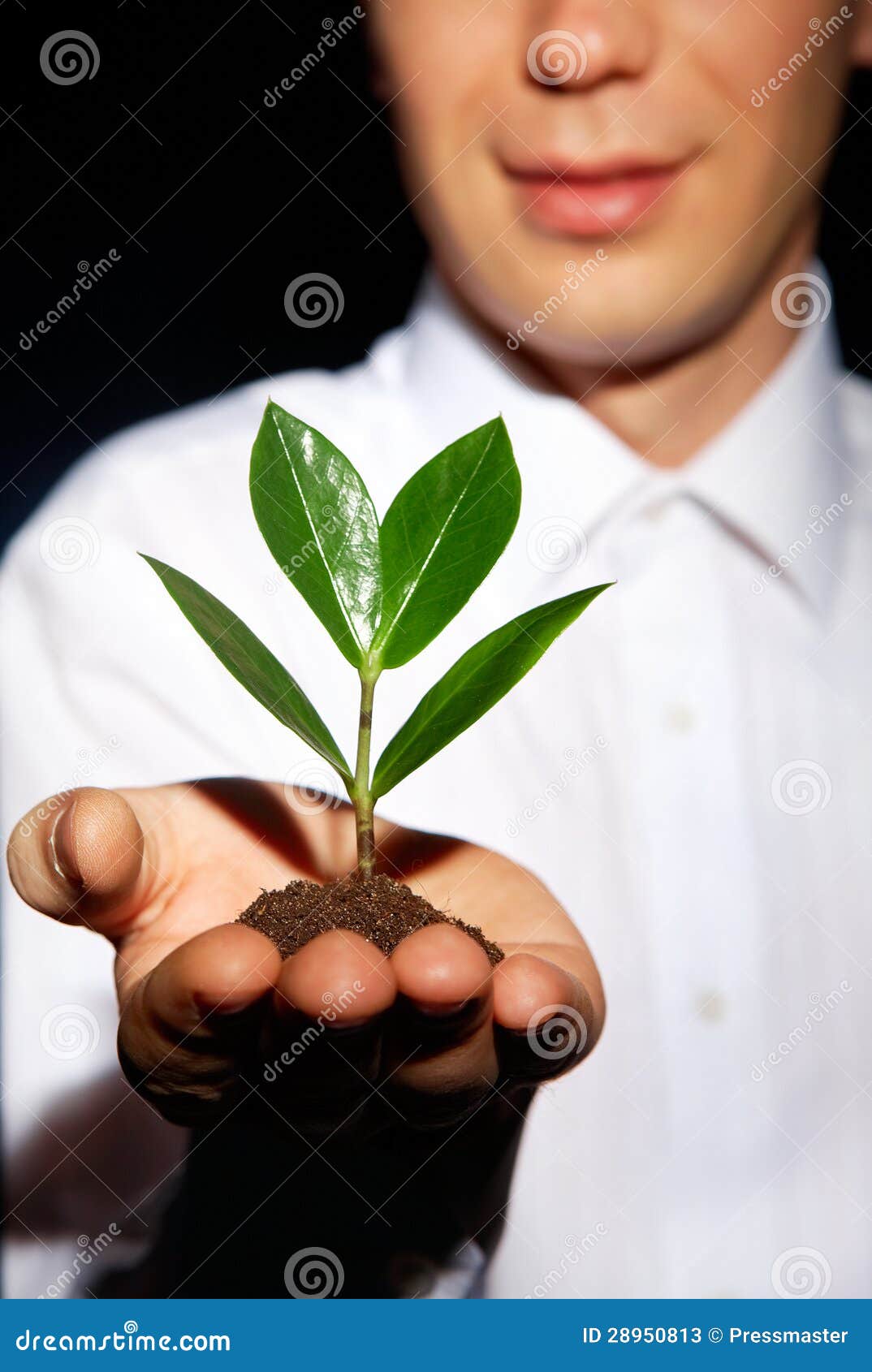 Grow a tree stock image. Image of ecology, green, care - 28950813