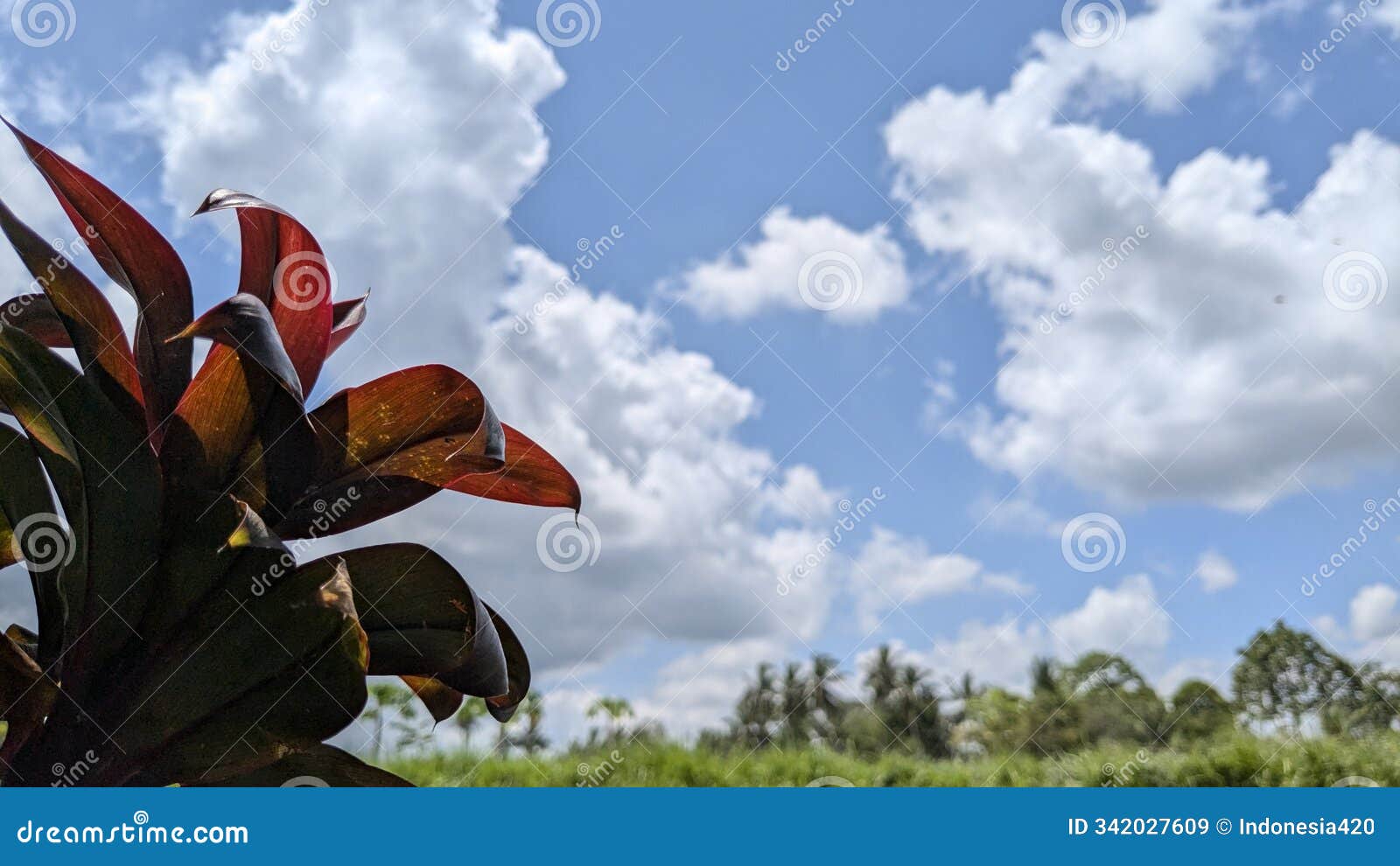 Grow up happily stock image. Image of happy, portrait - 342027609