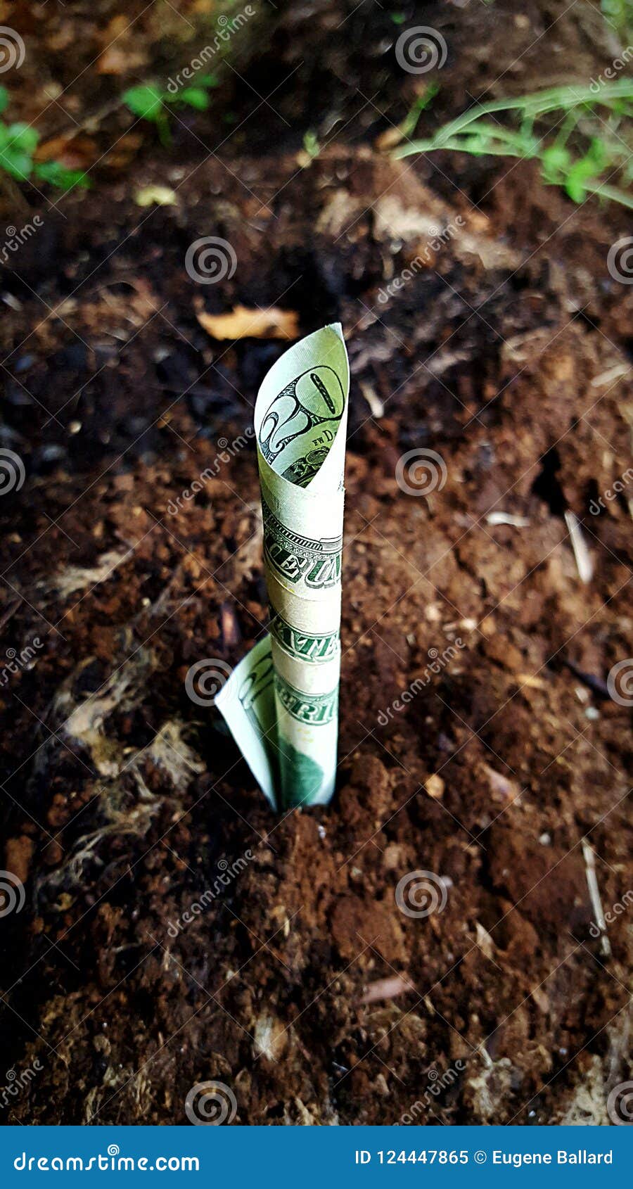 Grow Your Money stock image. Image of money, growing - 124447865