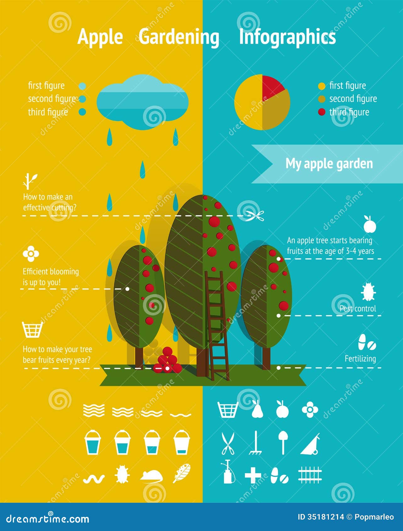 Growing Apple Garden Infographics Elements Stock Vector - Illustration ...