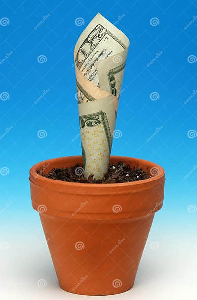 Growing assets stock photo. Image of invest, currency - 8020946