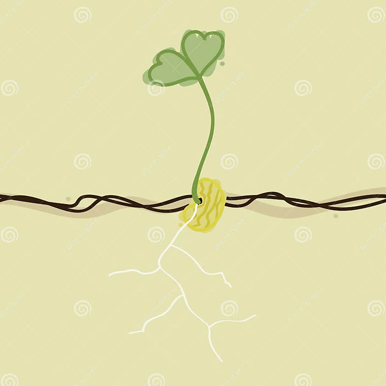 Growing bean illustration stock vector. Illustration of garden - 108725230