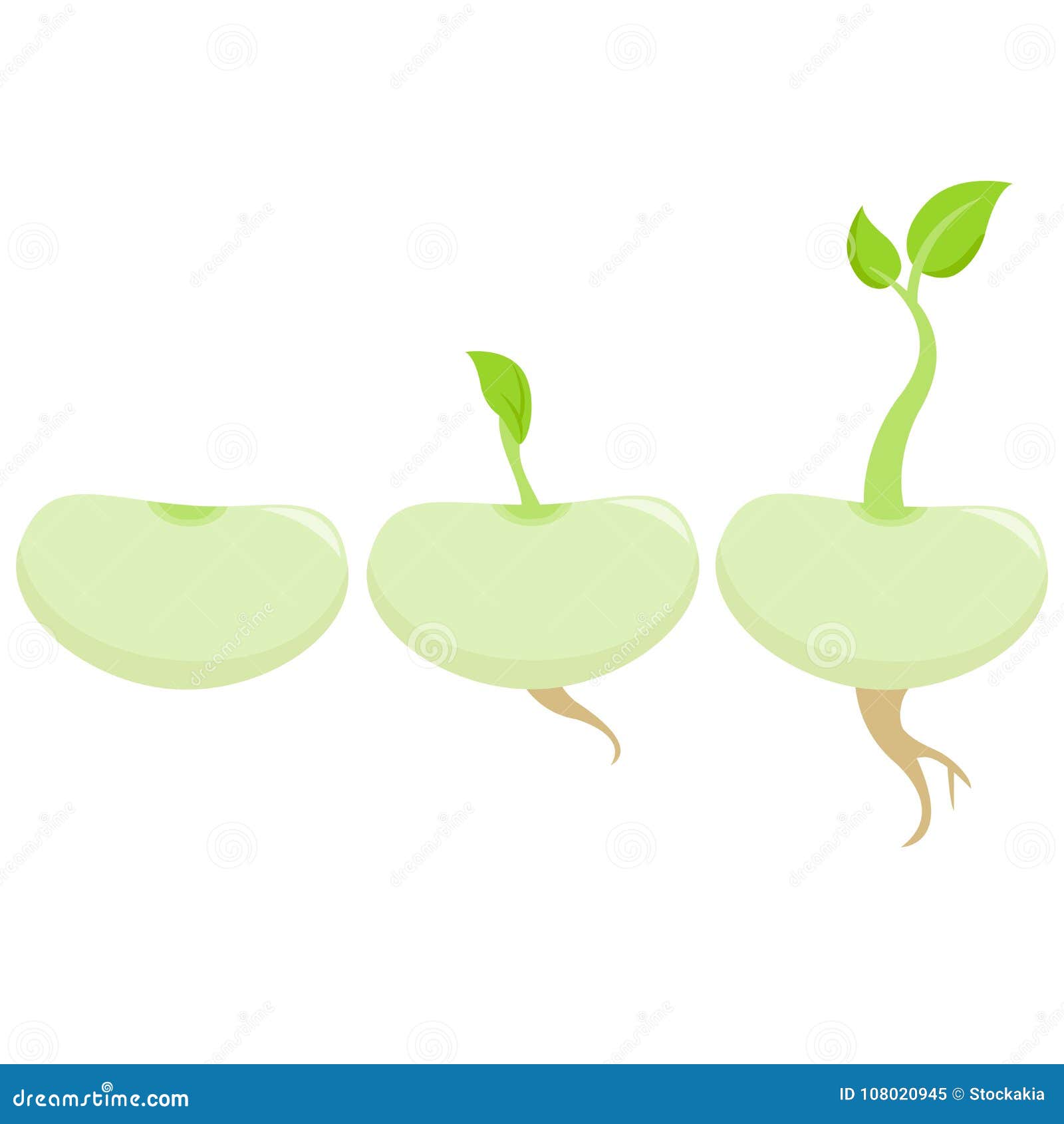 Set Of Bean Sprouts Icon. Thin Line Art Logo Of Sprouted Beans, Soy And ... Set Of Bean Sprouts Icon. Thin Line Art Logo Of Sprouted Beans, Soy And ...