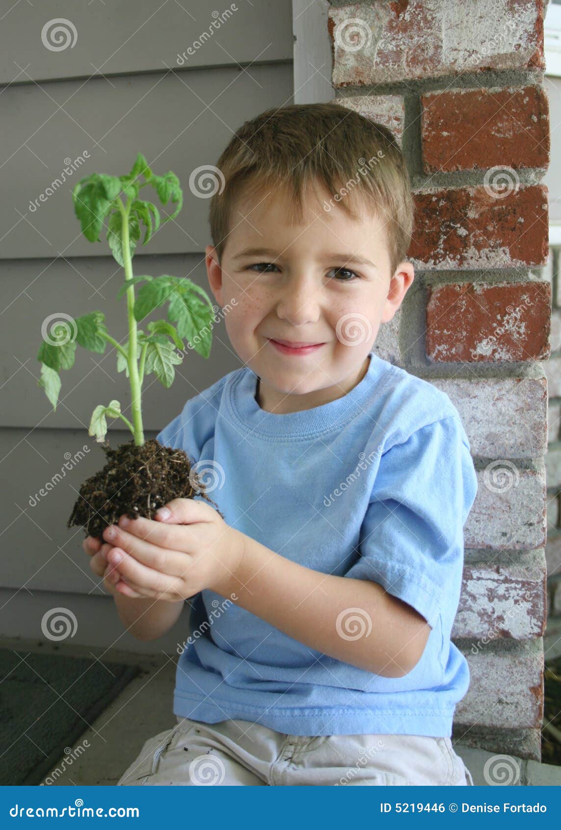 Growing boy 2 stock photo. Image of growing, child, green - 5219446