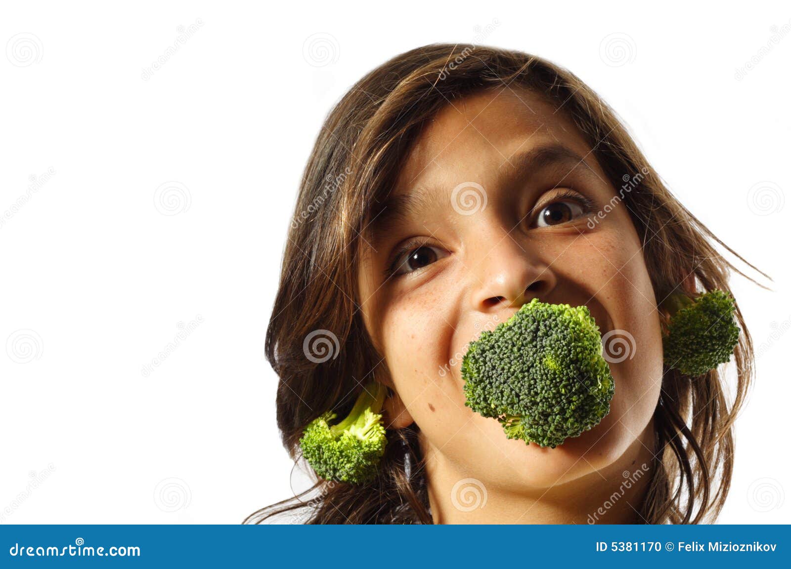 Growing Broccoli stock photo. Image of space, healthy - 5381170