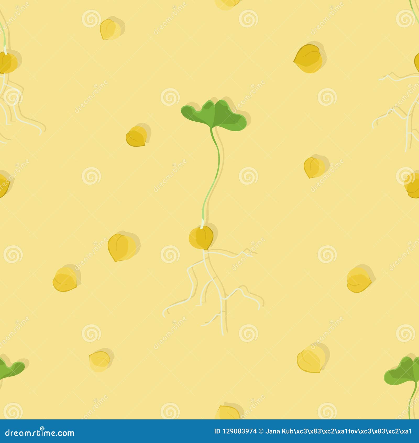 Growing Chickpea Background Vector Illustration | CartoonDealer.com ...