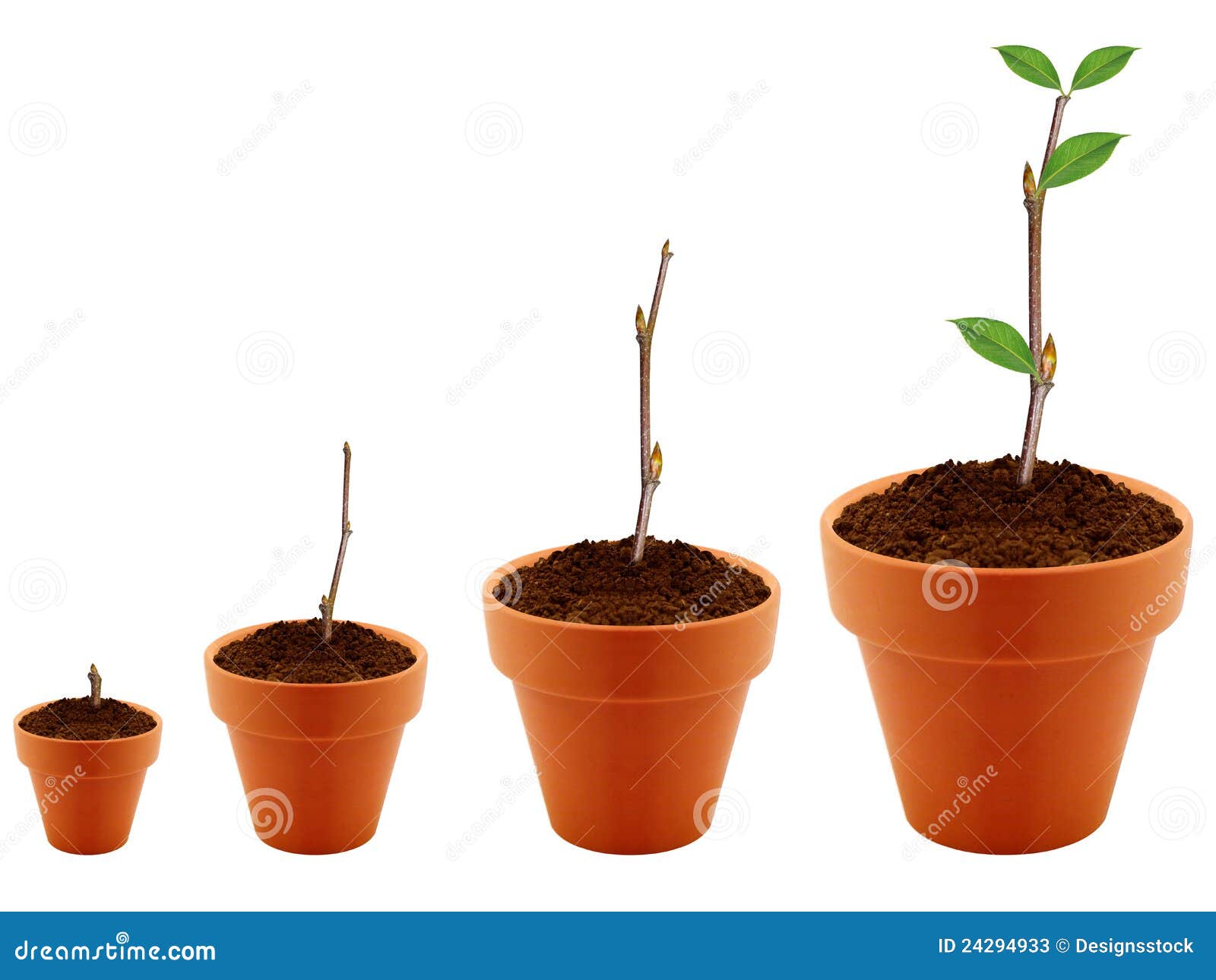 Growing concept stock image. Image of germinating, leaf - 24294933