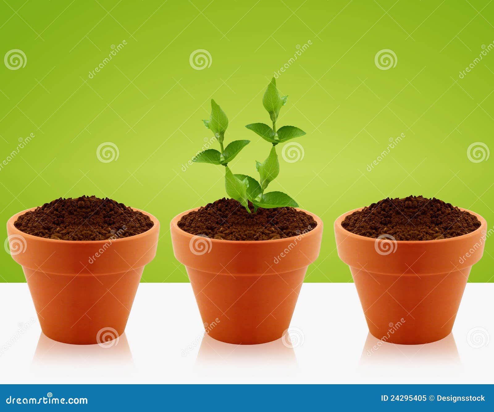 Growing concept stock image. Image of germinating, clay - 24295405