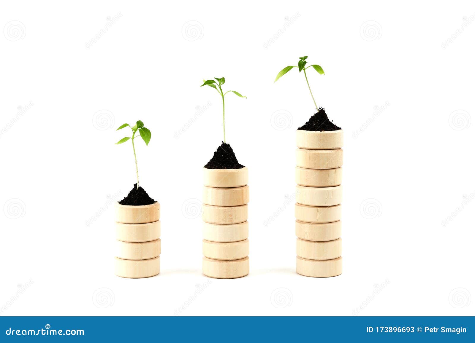 Small Plants in the Form of Growing Chart Stock Image - Image of ...
