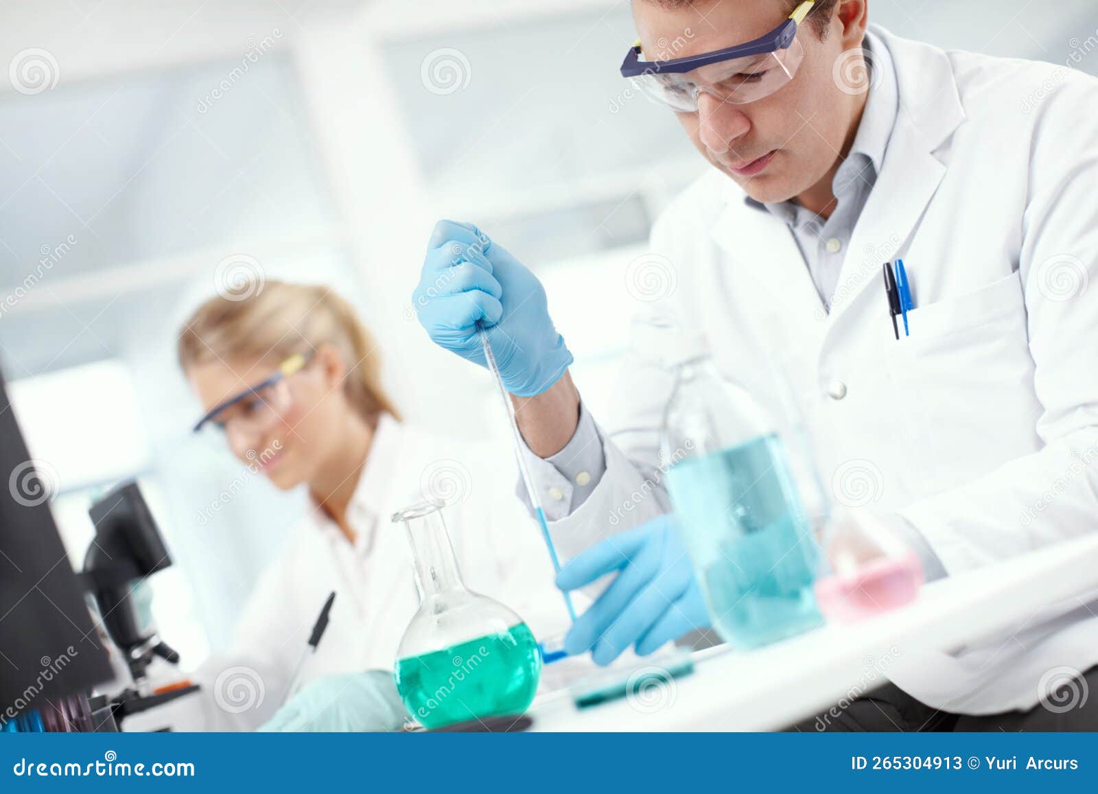 Growing Cultures. Two Researchers Busy Working in the Laboratory. Stock ...