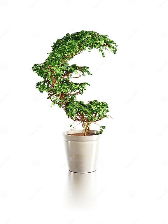 Growing euro tree stock photo. Image of account, growth - 19209304