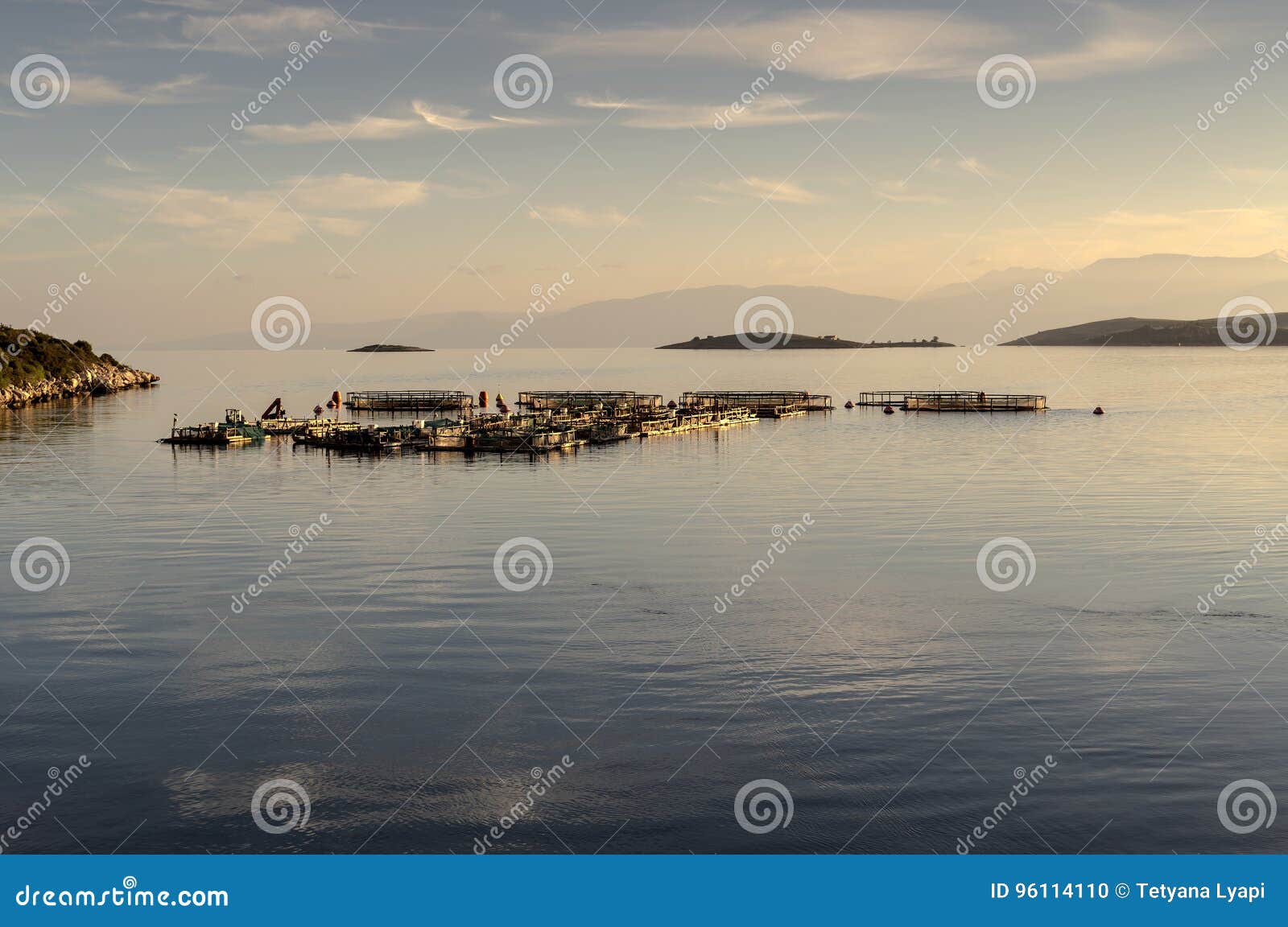 Growing Fish in the Open Sea Stock Photo - Image of environment, farm ...