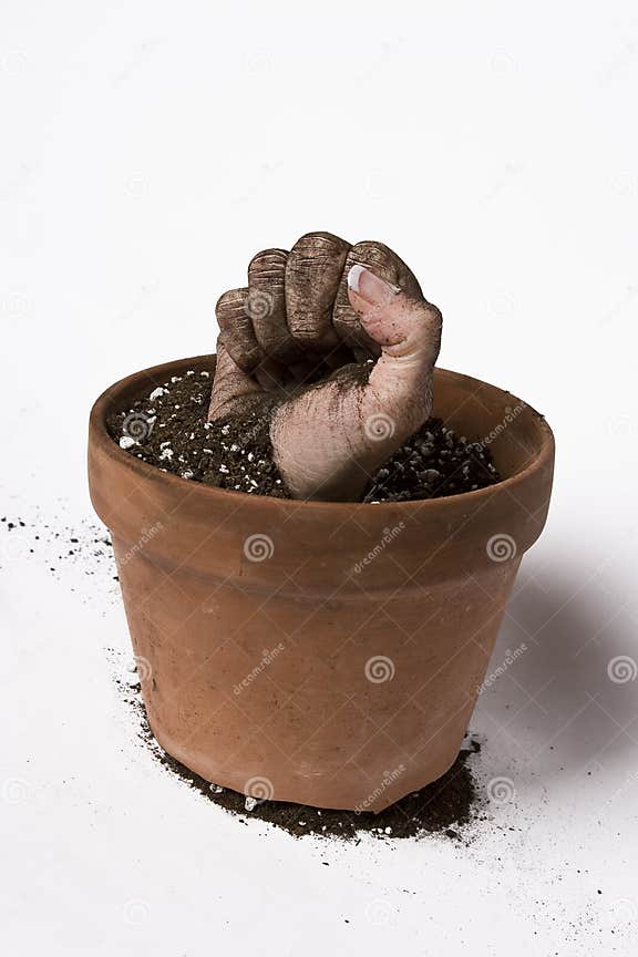 Growing fist stock photo. Image of grow, hand, idea, earth - 10376888