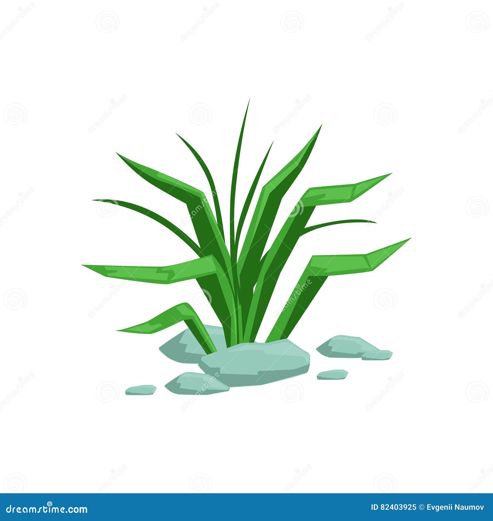 Growing Grass Sprout. Agricultural, Cultivation And Planting ...