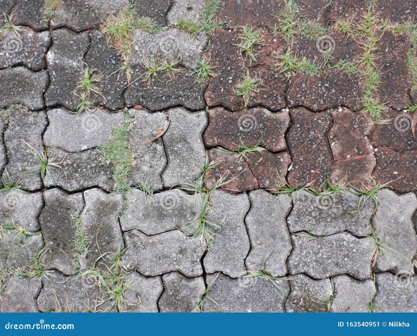 Growing Grass on a Pavement Stock Image - Image of background, detail ...