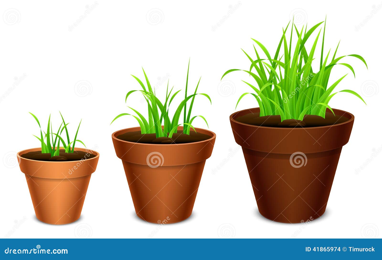 Growing Grass And Plant. Coloring Page Cartoon Vector | CartoonDealer ...
