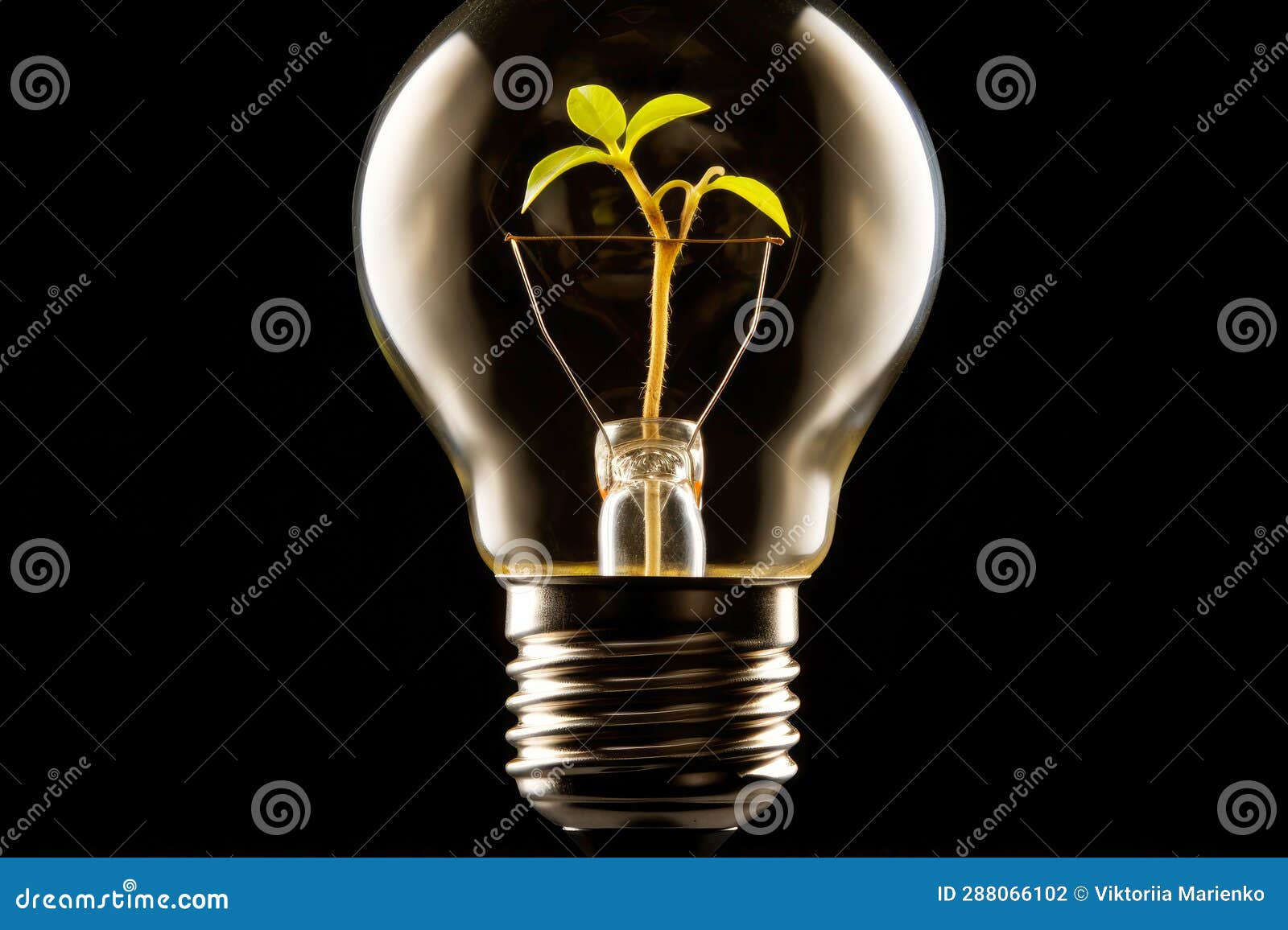 Growing Green Solutions: Plant in Light Bulb Signifies Eco Awareness ...