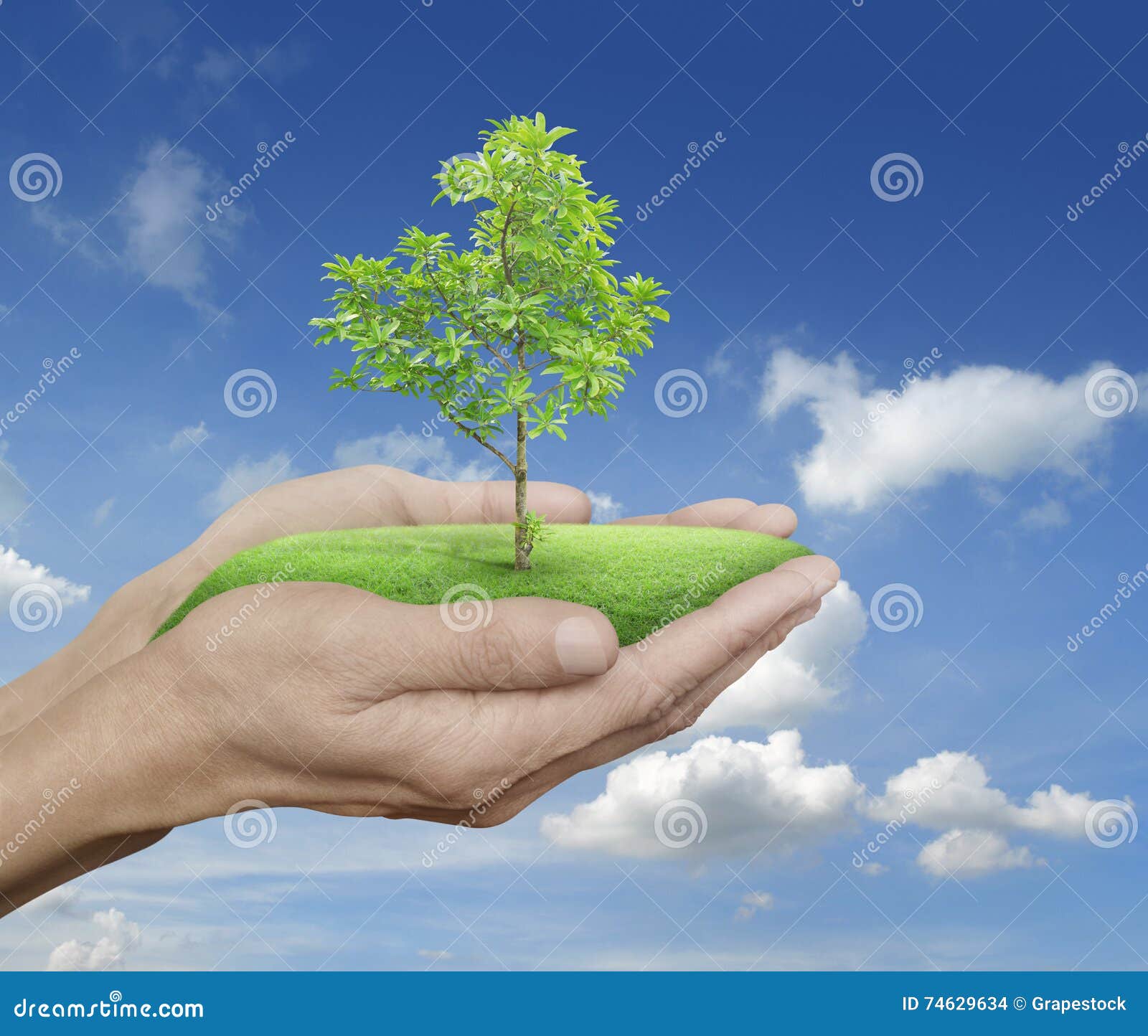 Growing Green Tree in Hands Over Blue Sky with White Clouds ...