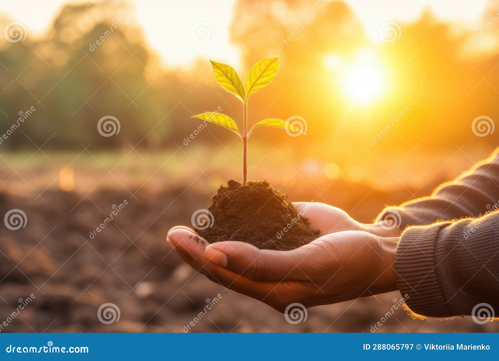 Growing Future City Metropolis Background, Bridge Vector Illustration ...