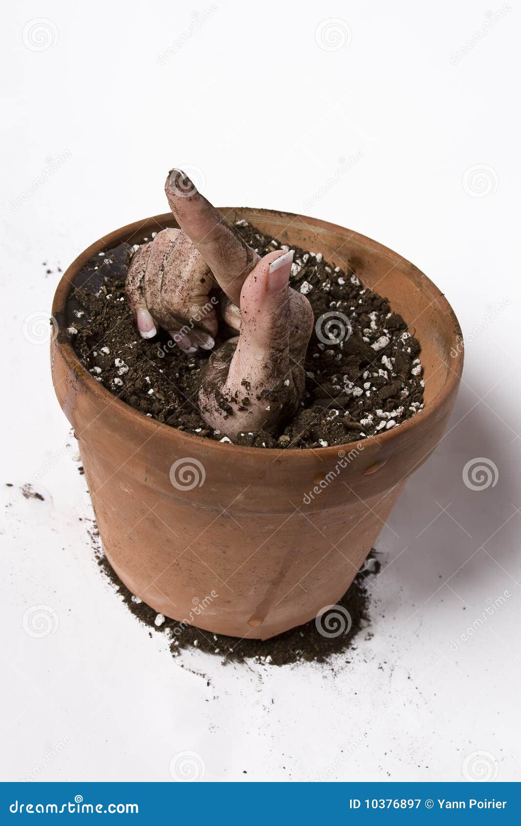 Growing hand stock image. Image of death, garden, skin - 10376897