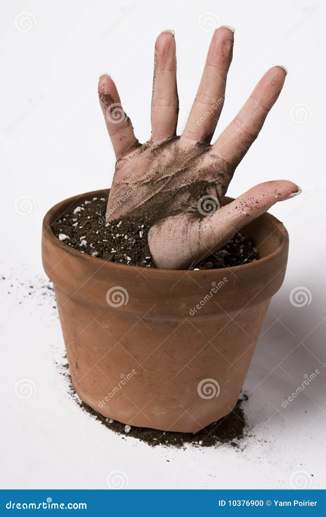 Growing hand stock photo. Image of cultivate, metaphor - 10376900